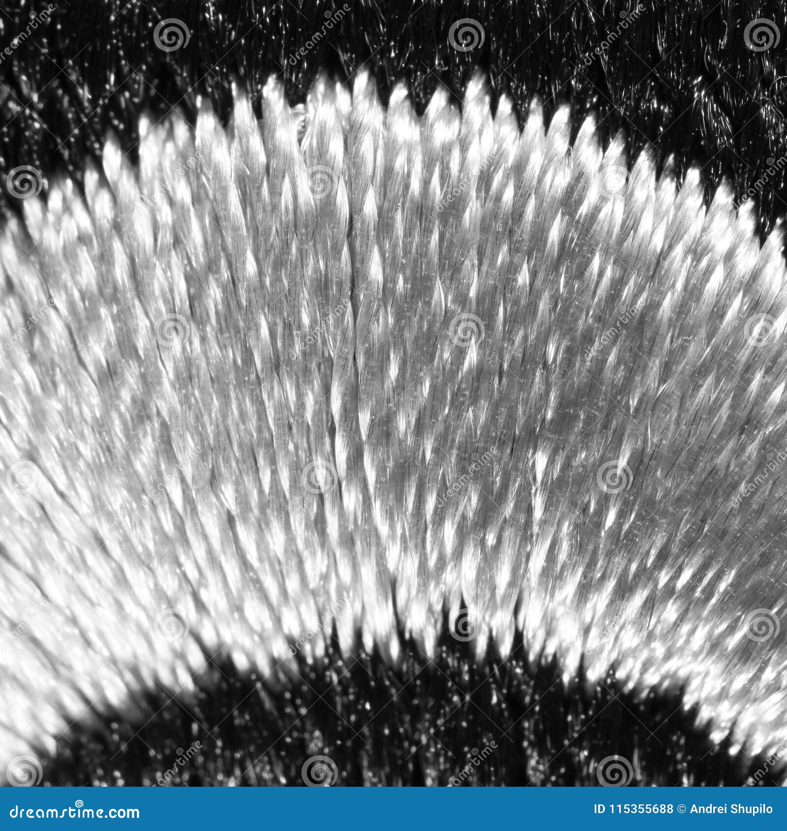 Black and White Threads on the Fabric Stock Photo - Image of thread ...