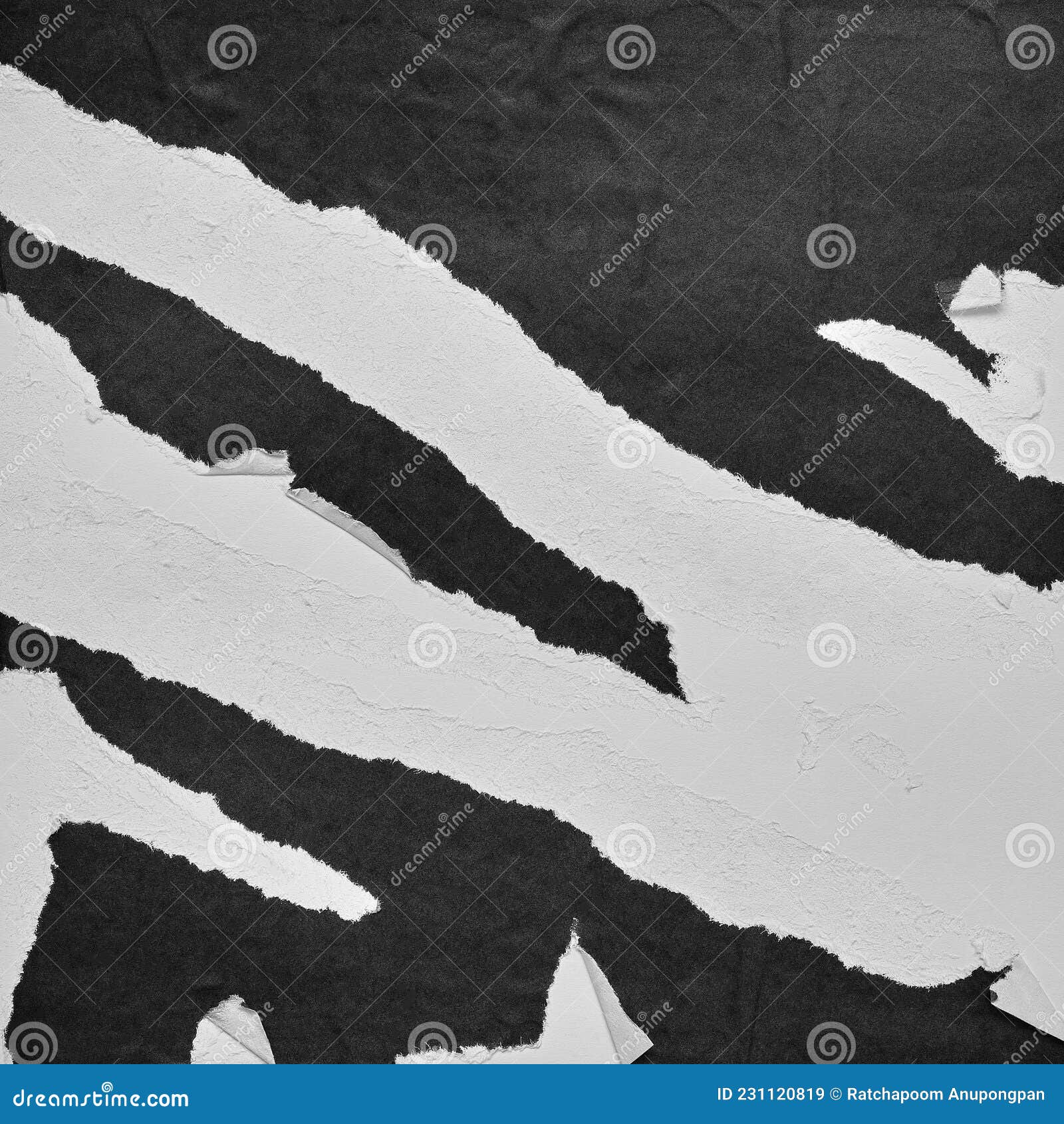 Black and White Torn Paper Collage Style, Ripped Paper Effect, Texture ...