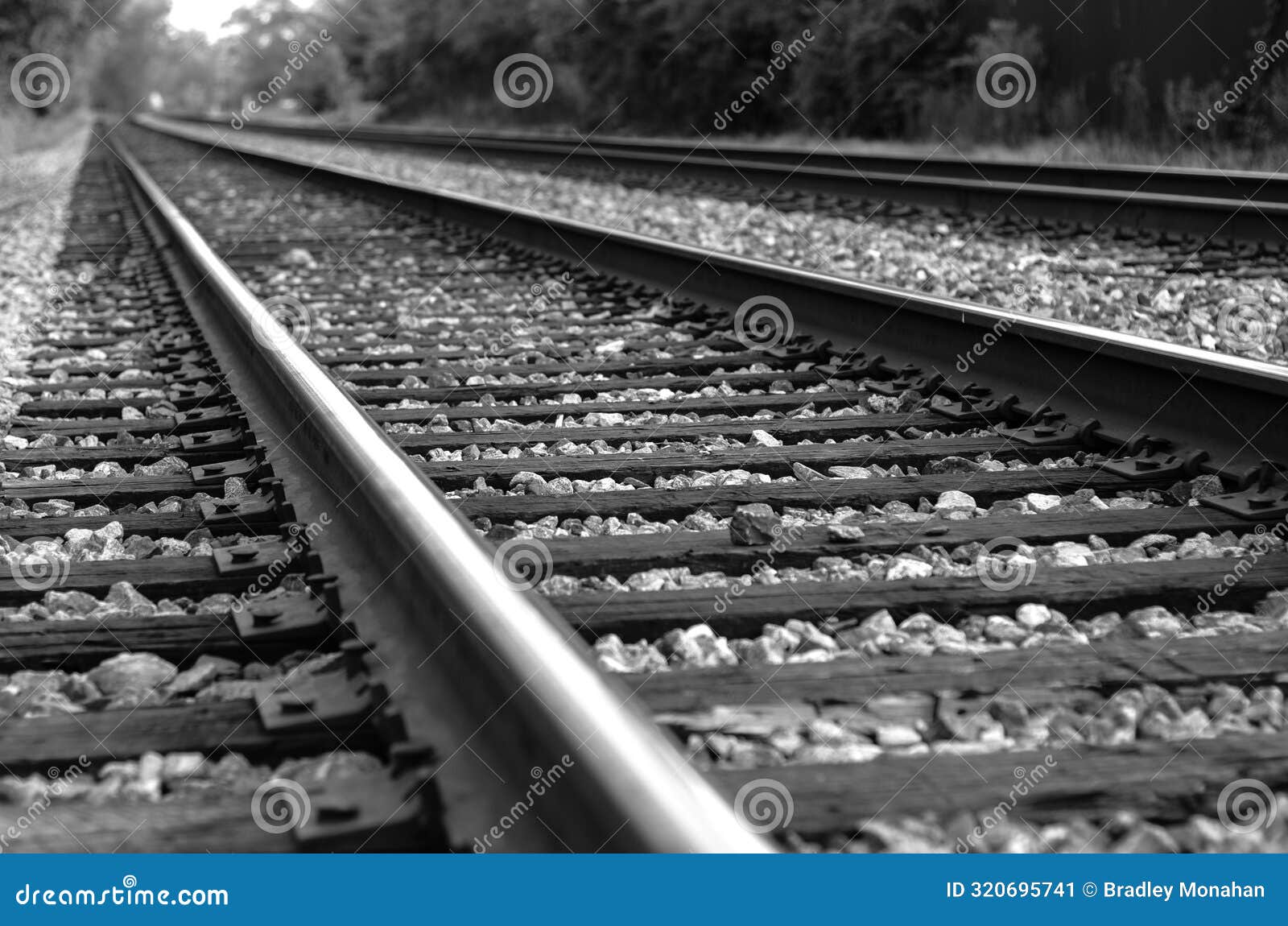 Black and White Train Tracks Stock Image - Image of nature, steel ...