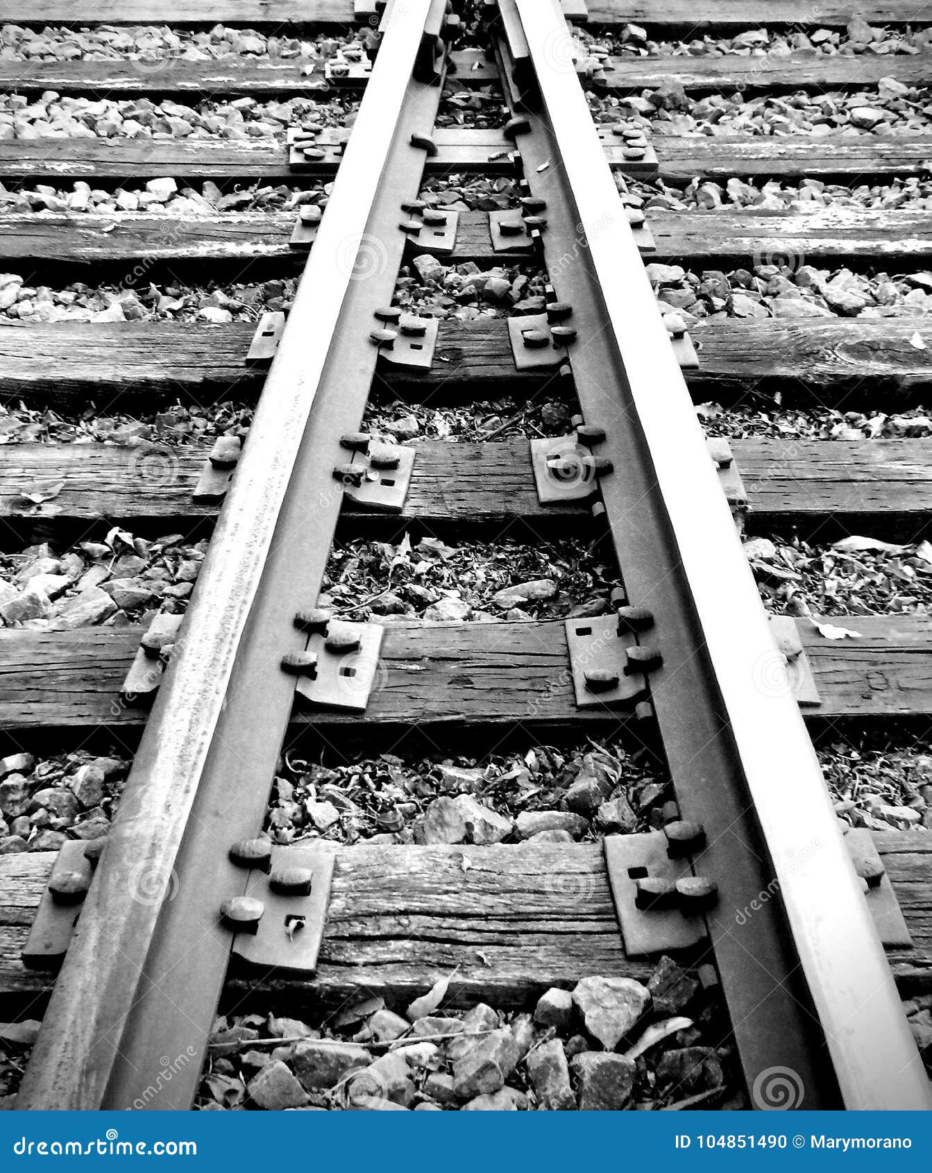 Black and White Train Tracks Meeting Stock Photo - Image of tracks ...