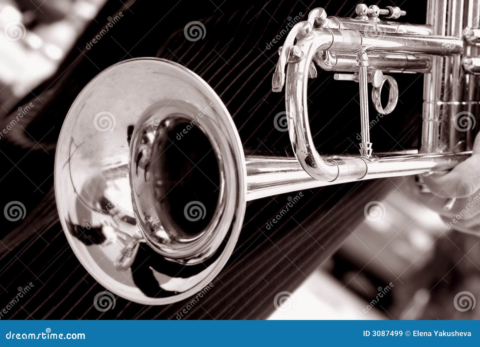 Trumpet Black And White Photography