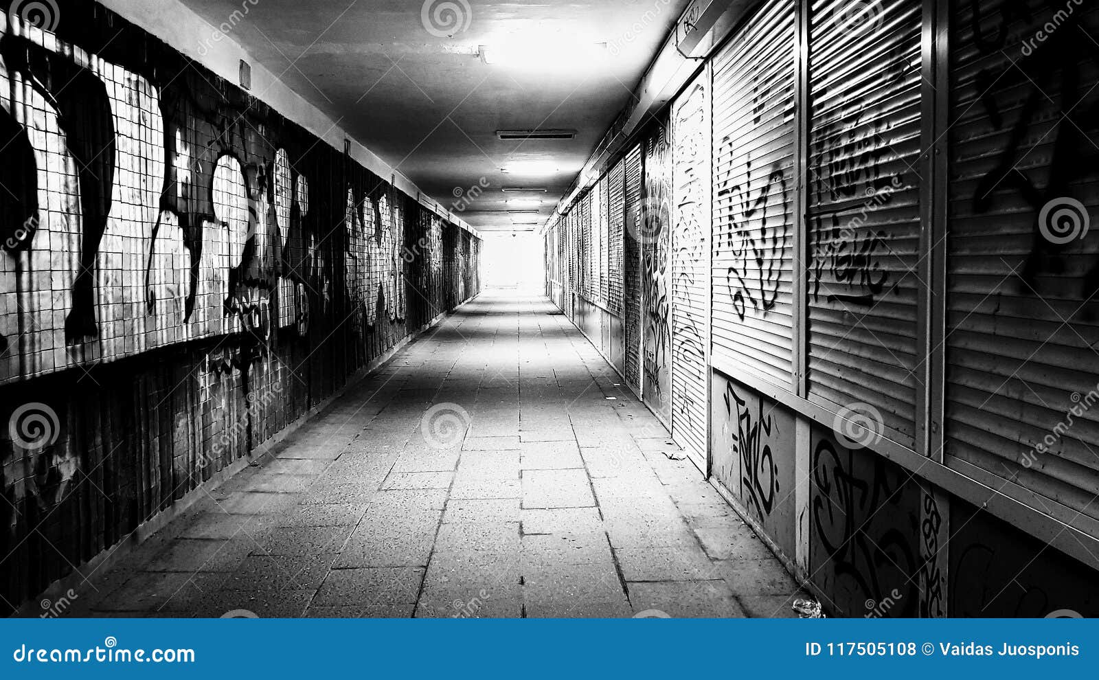 Black and white stock photo. Image of lights, tunnel - 117505108