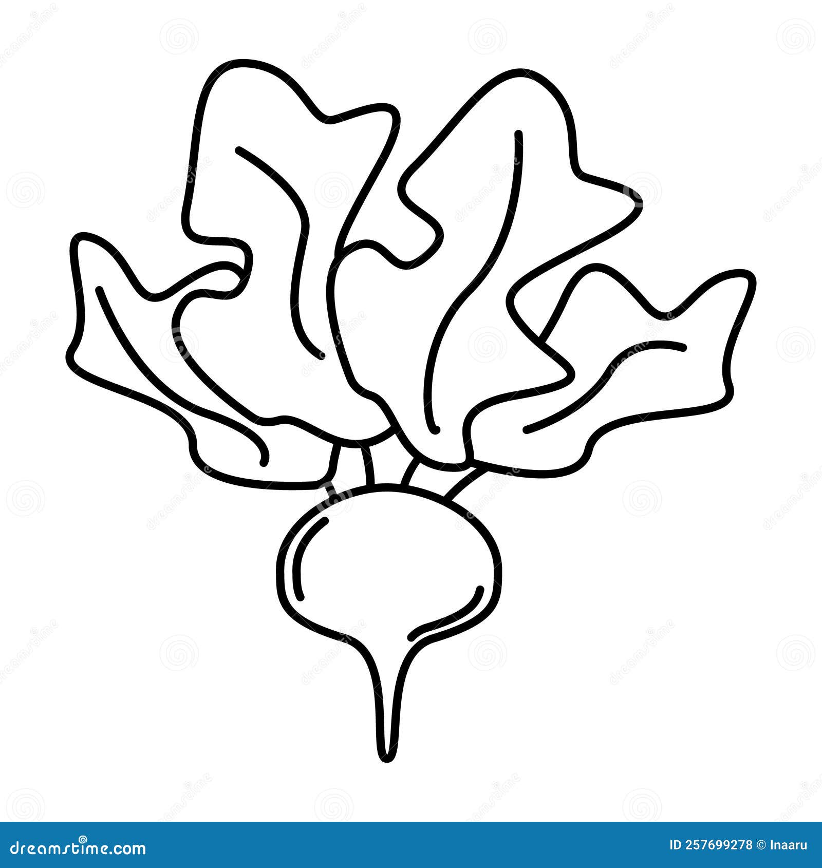 Black and White Turnip Image, Stock Vector - Illustration of badge ...