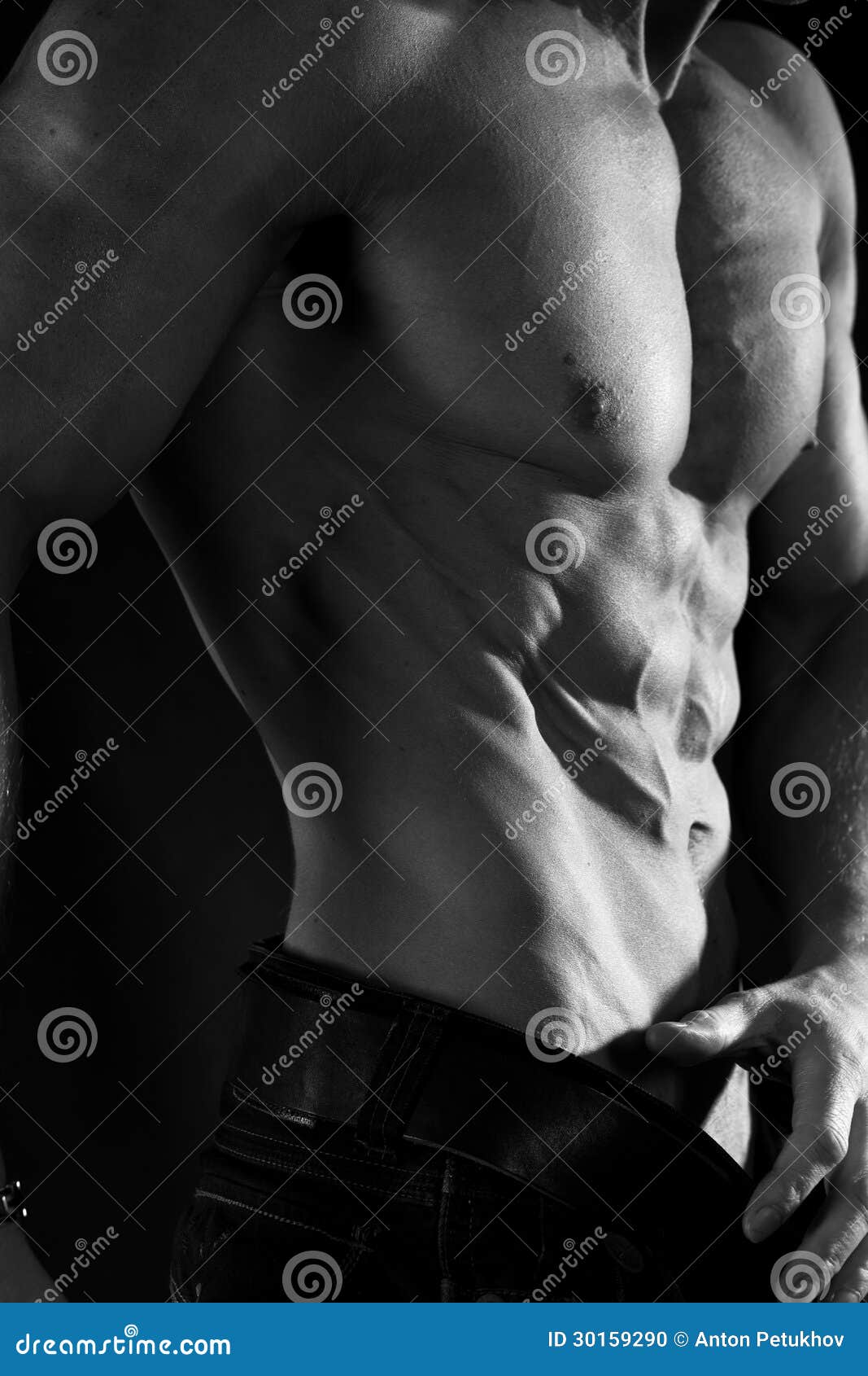 Muscular male torso stock photo. Image of posing, poses - 30159290