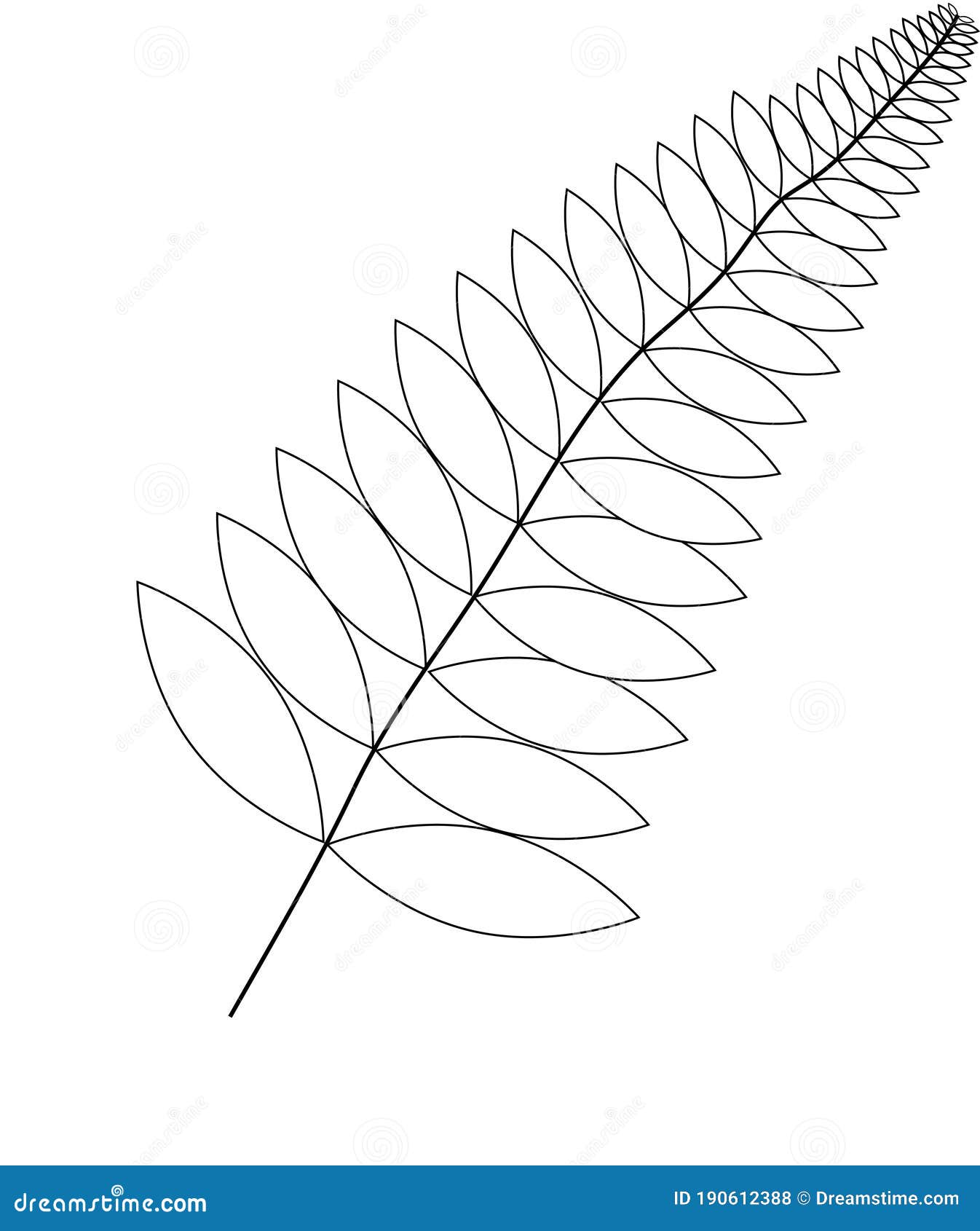 The White Fern Leaf Pattern Connects To Form The Outline Of The Leaf ...