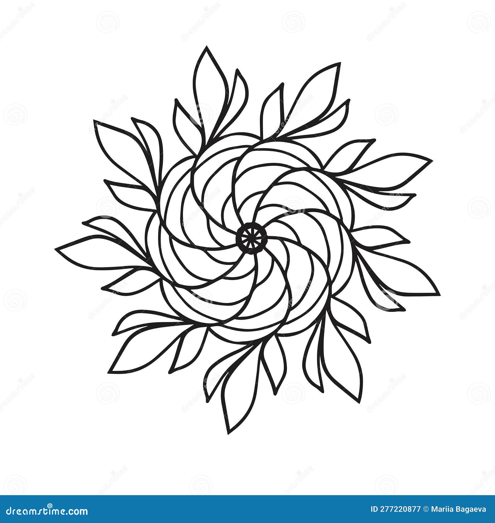 Black and White Vector Floral Contur Stock Vector - Illustration of ...