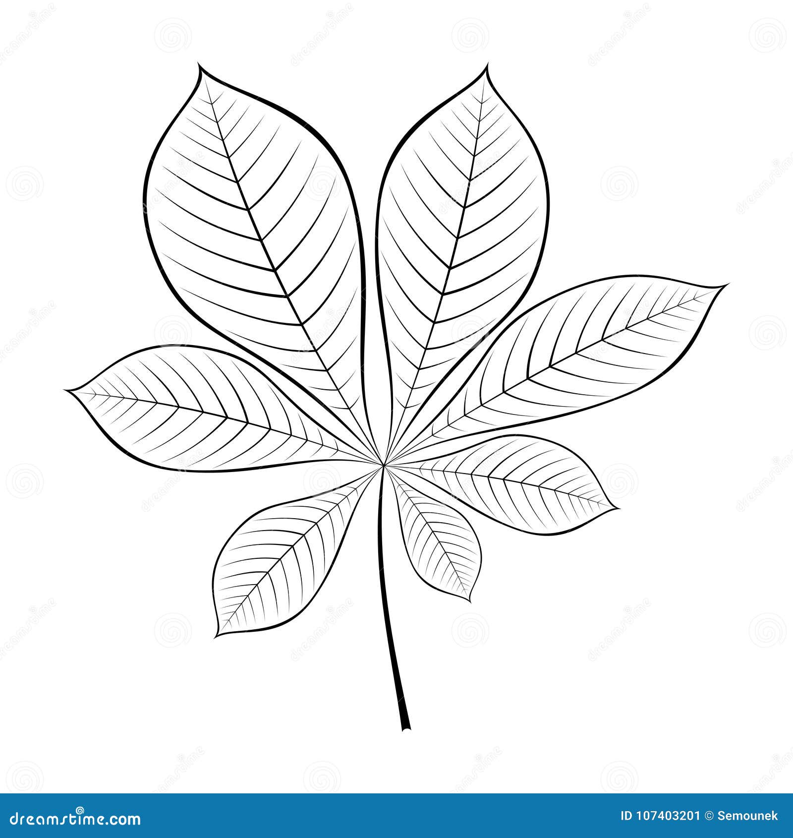 Black and White Vector Illustration of Chestnut Leaf Stock Vector ...