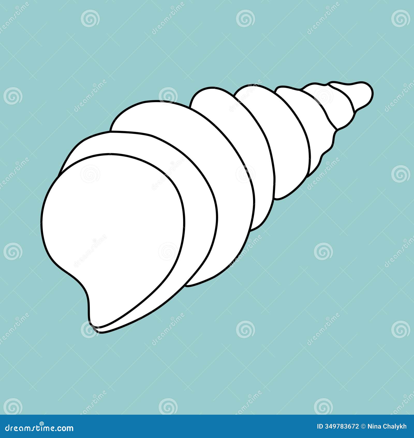 Black and White Vector Illustration Seashell. Linear Image of Shell ...
