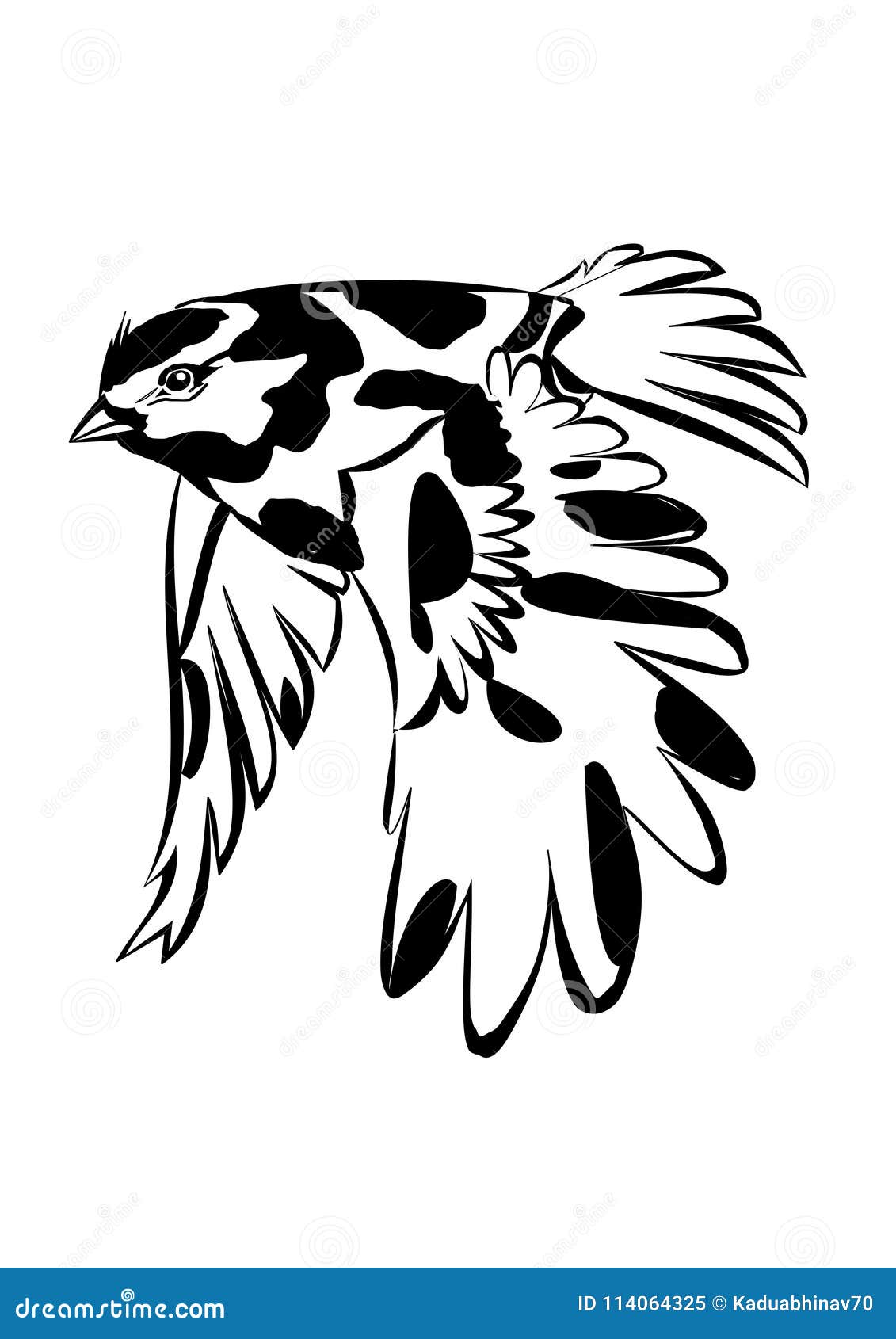 Vector Flying Sparrow stock image. Illustration of balck - 114064325