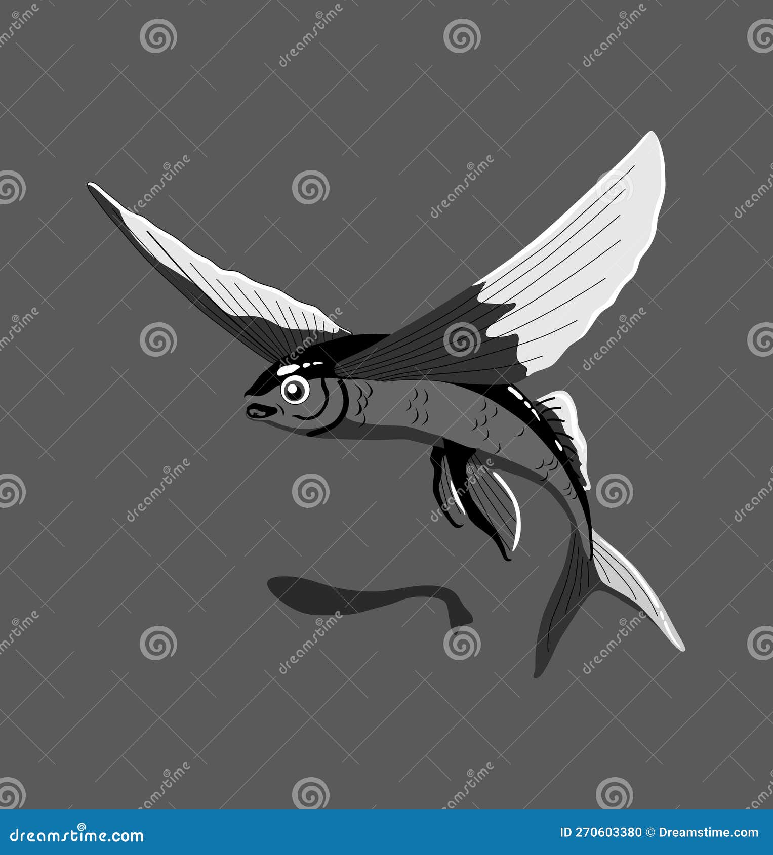 Black and White Vector Image of a Flying Fish Stock Illustration ...