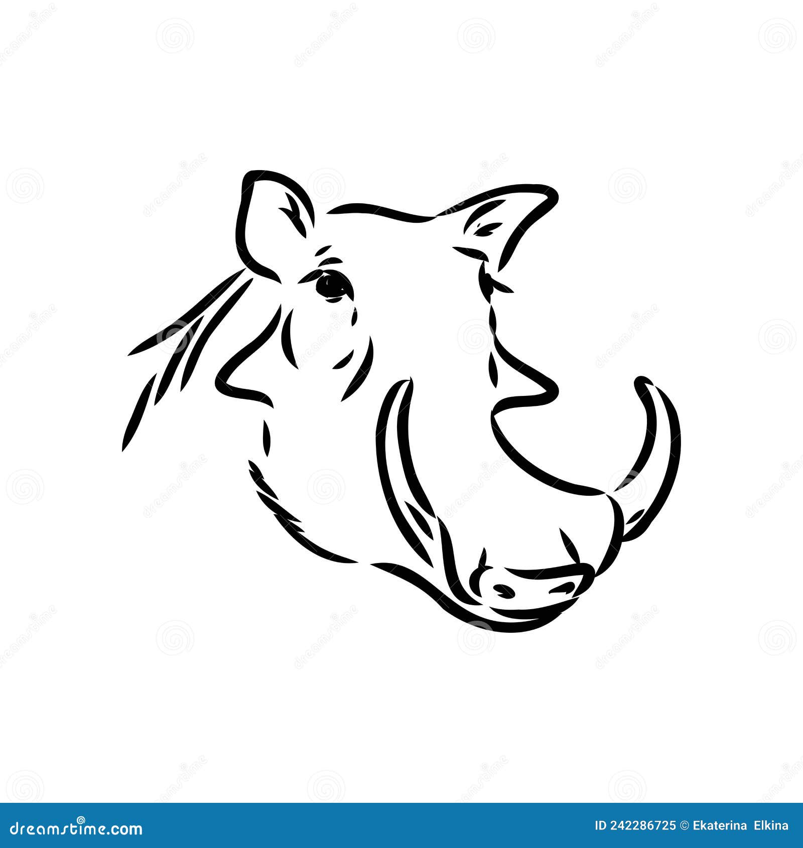 Black and White Vector Line Drawing of a Warthog Stock Vector ...