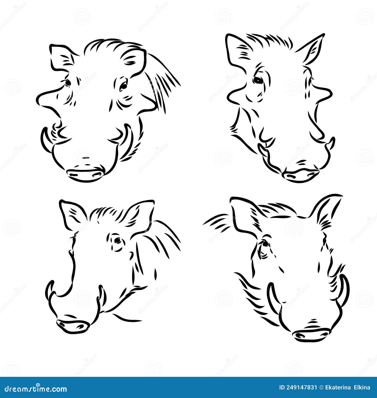 Black and White Vector Line Drawing of a Warthog S Face Stock ...