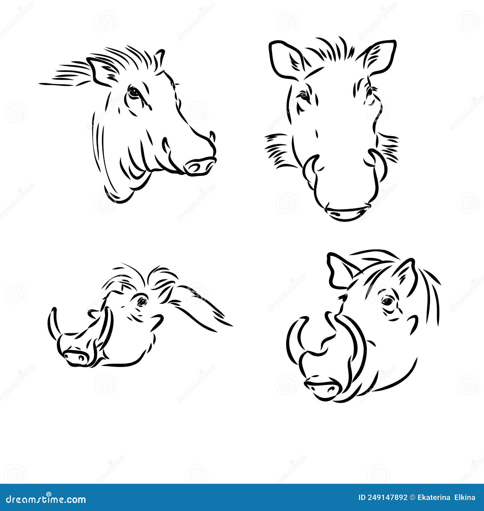 Black and White Vector Line Drawing of a Warthog S Face Stock Vector ...