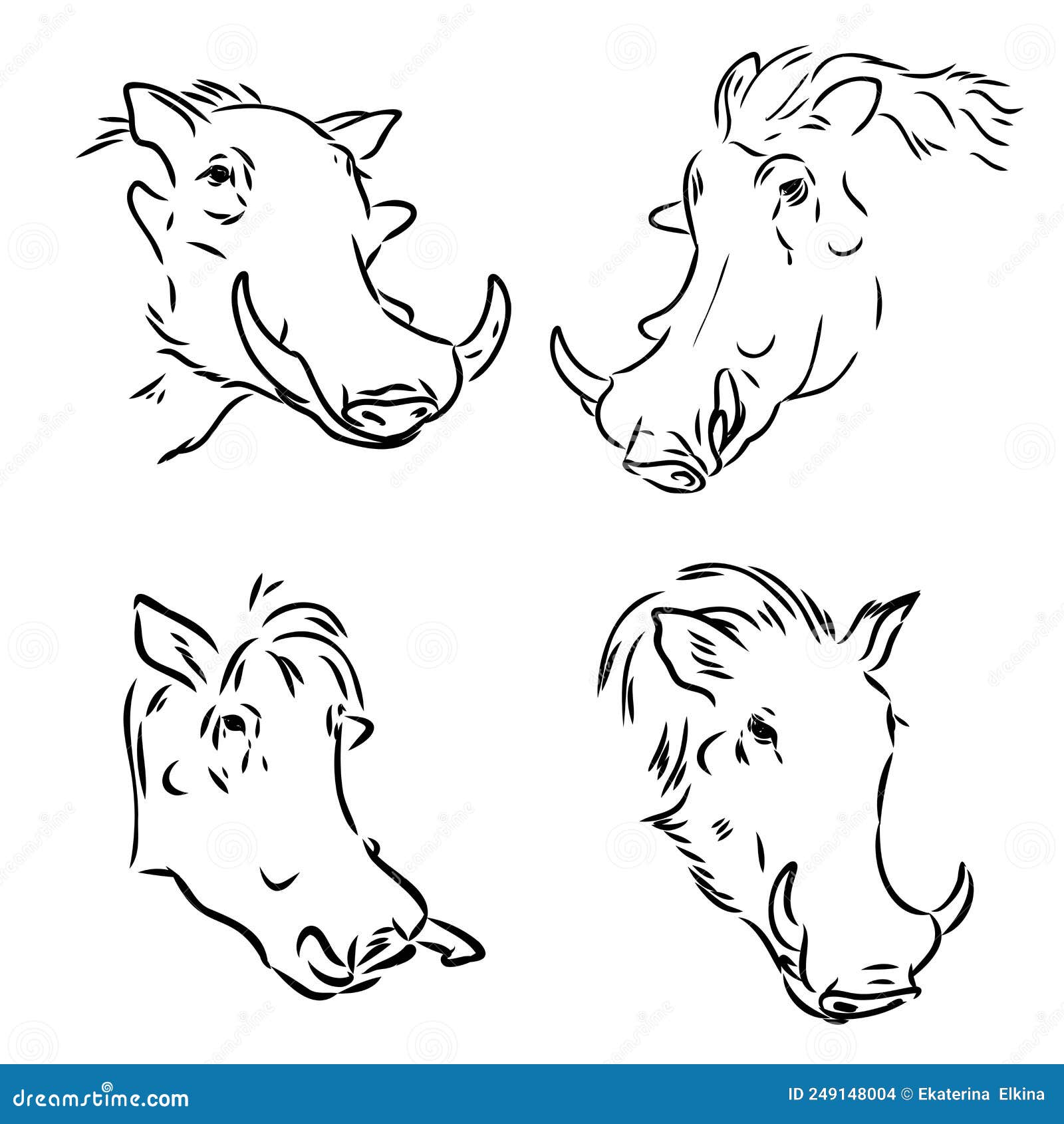 Black and White Vector Line Drawing of a Warthog S Face Stock Vector ...