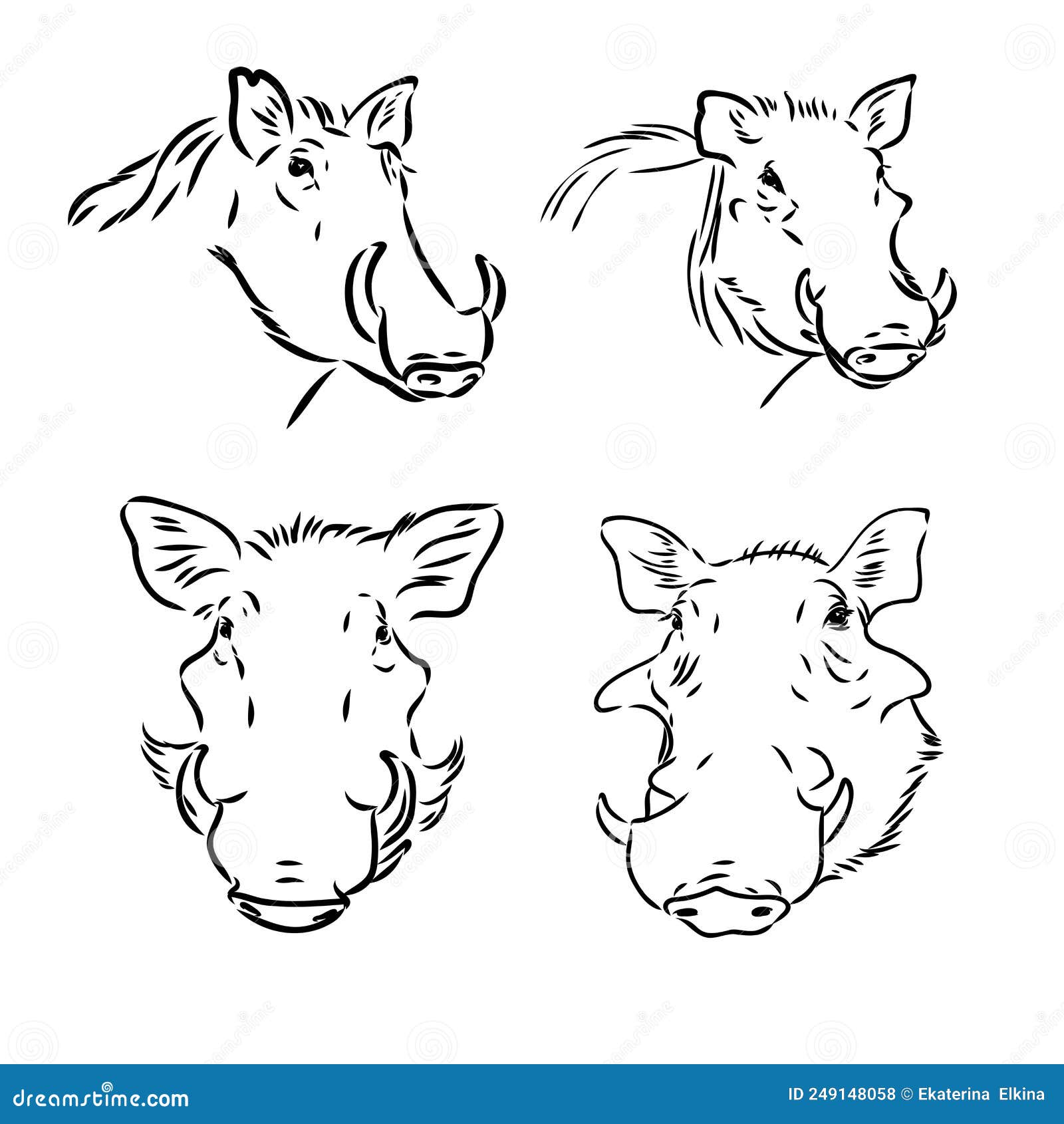 Black and White Vector Line Drawing of a Warthog S Face Stock Vector ...