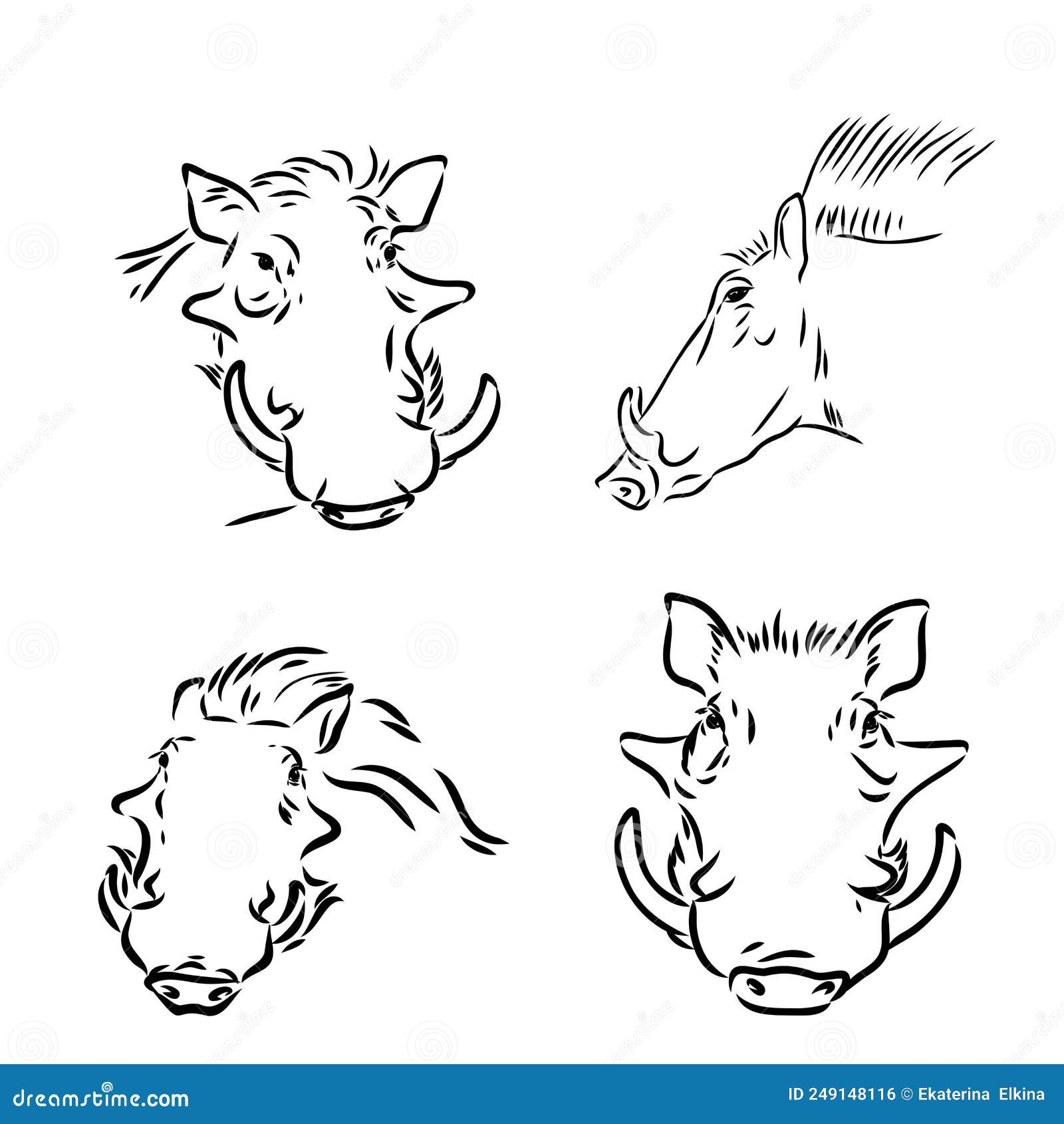 Black and White Vector Line Drawing of a Warthog S Face Stock Vector ...