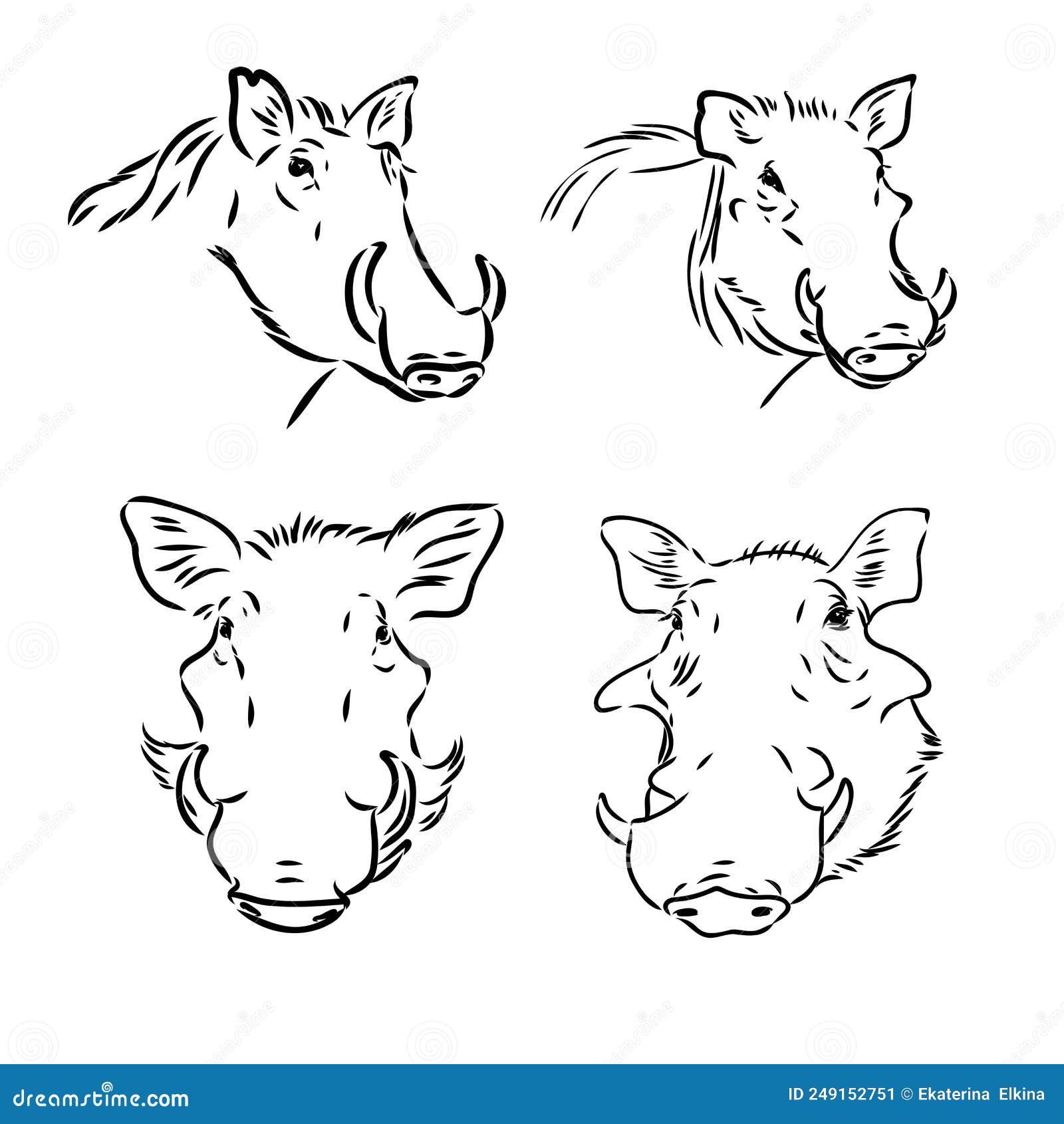 Black and White Vector Line Drawing of a Warthog S Face Stock ...