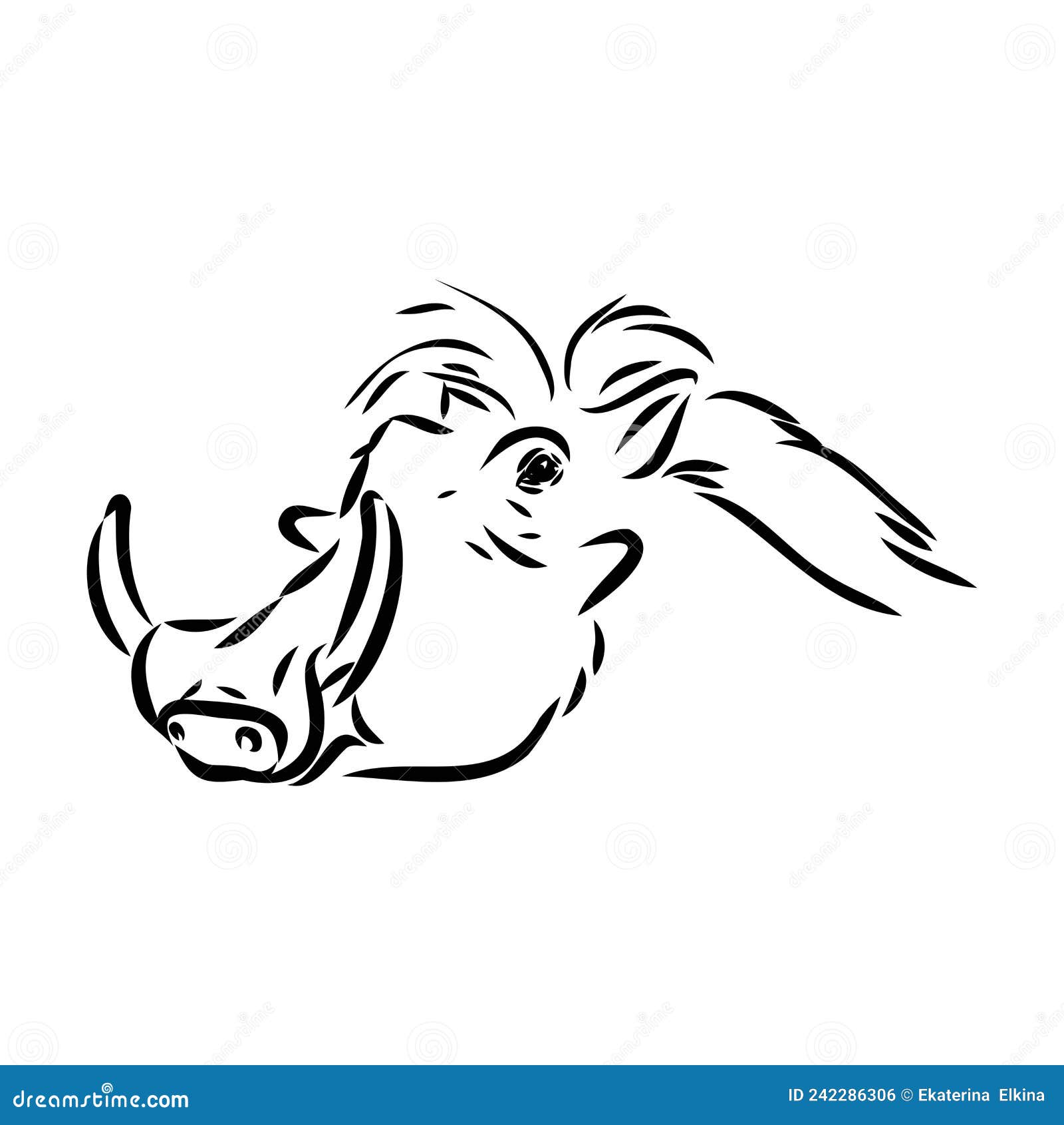 Black and White Vector Line Drawing of a Warthog Stock Vector ...