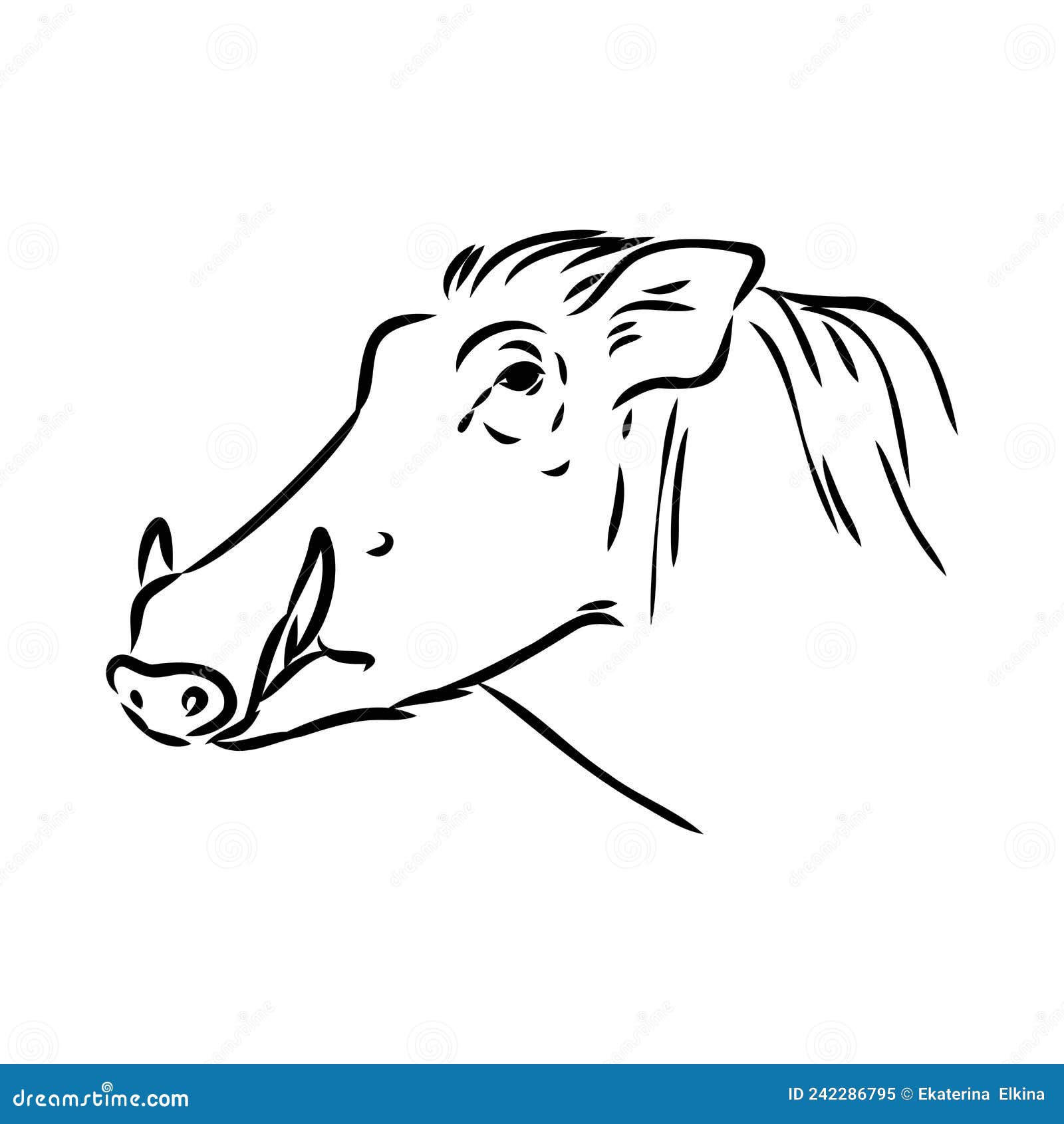 Black and White Vector Line Drawing of a Warthog Stock Vector ...