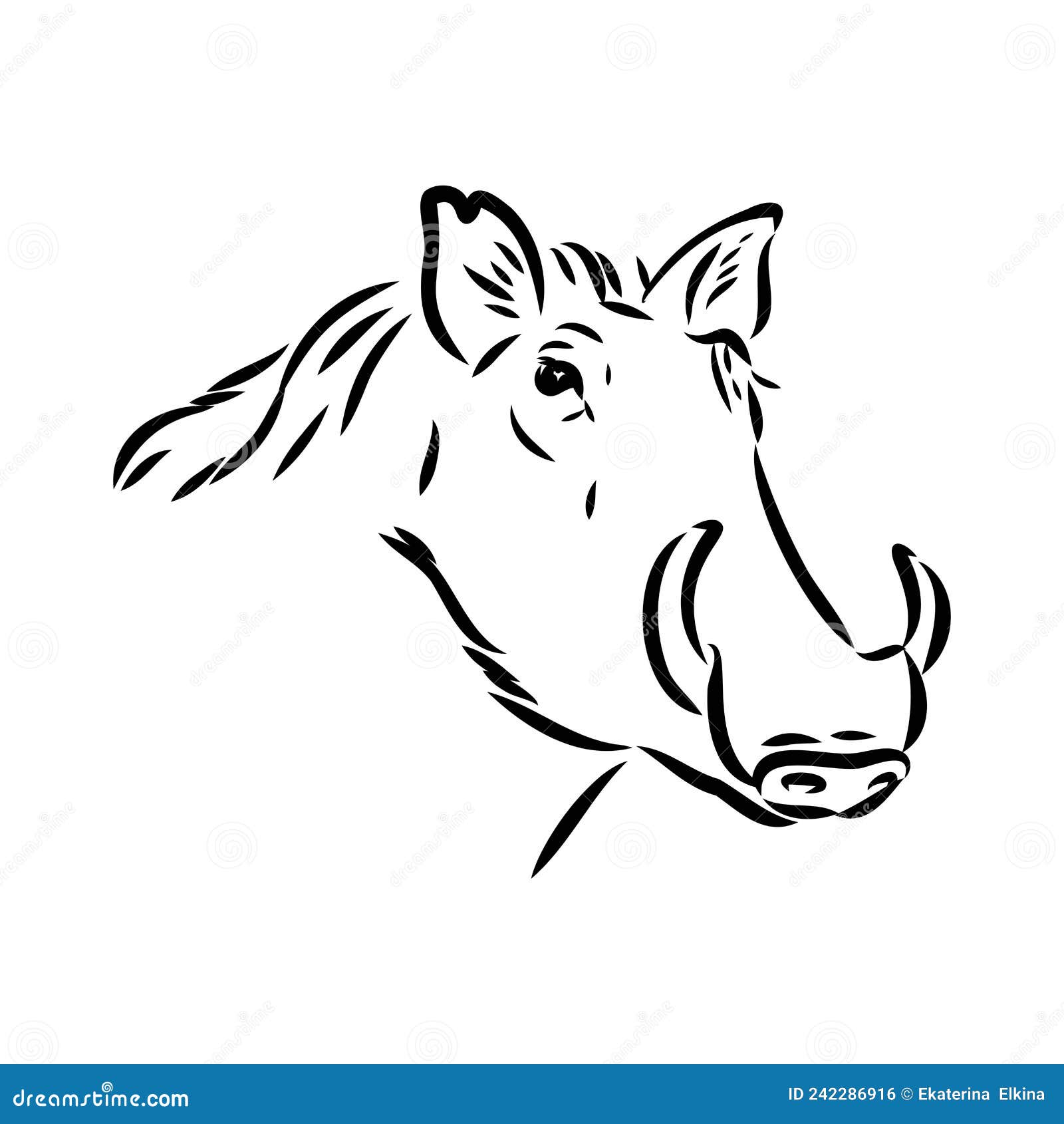 Black and White Vector Line Drawing of a Warthog Stock Vector ...