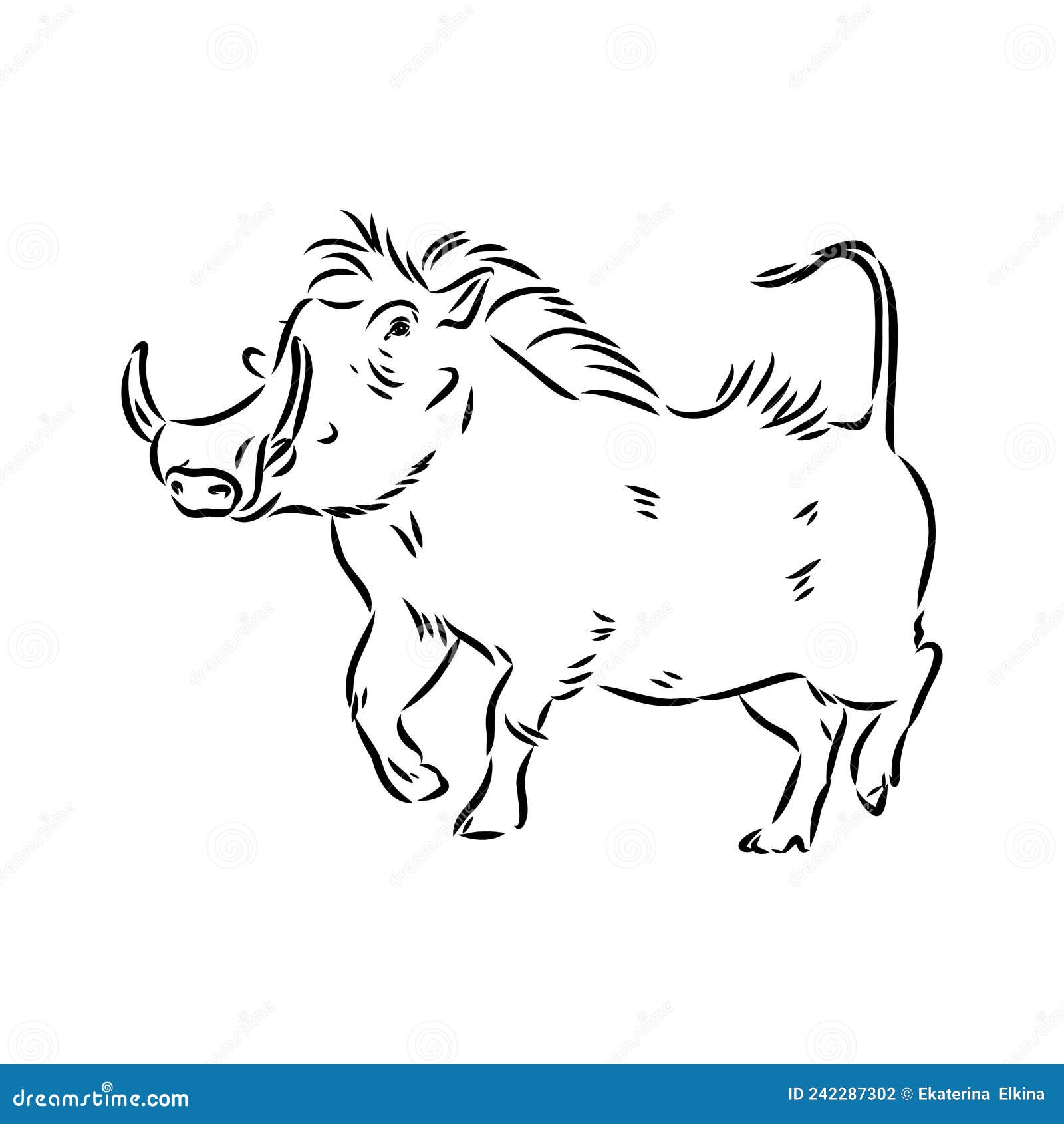 Black and White Vector Line Drawing of a Warthog Stock Vector ...