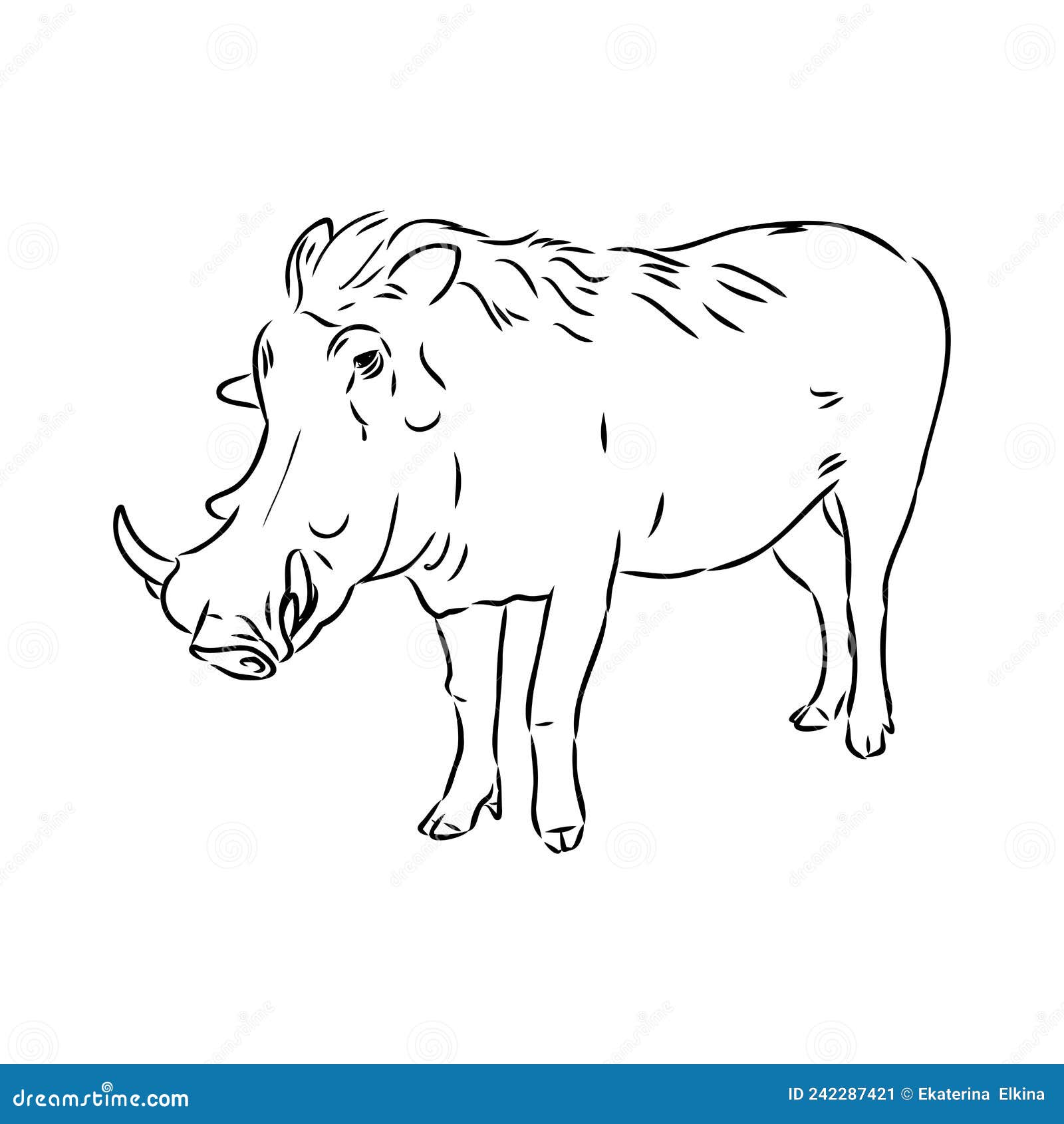 Black and White Vector Line Drawing of a Warthog Stock Vector ...
