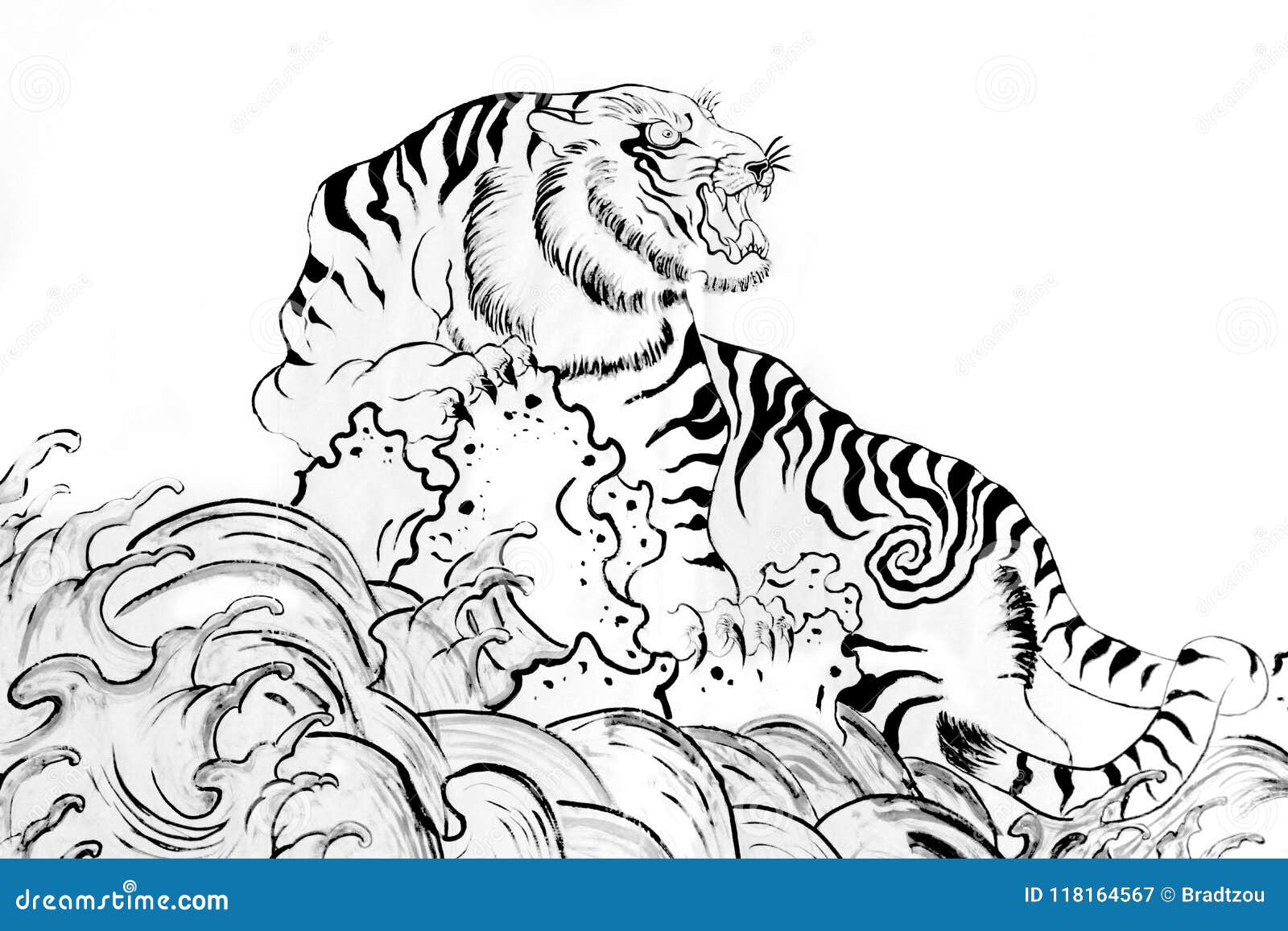 Sketch Of A Growling Tiger Sweet Tiger Hand Drawing Illustration Vector ...