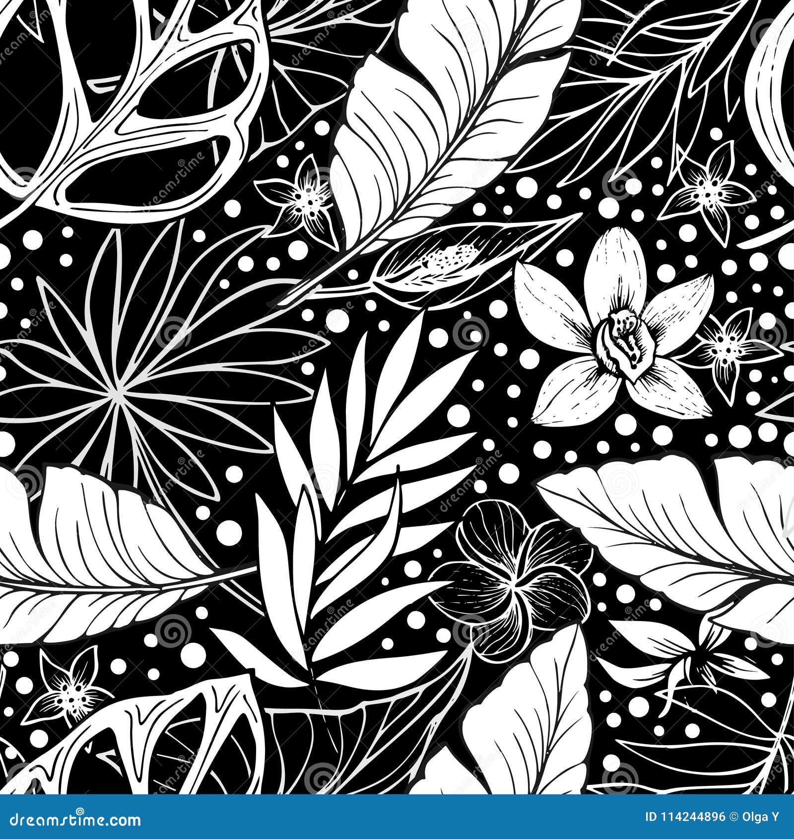 Black and White Vector Vector Seamless Beautiful Artistic Tropical ...