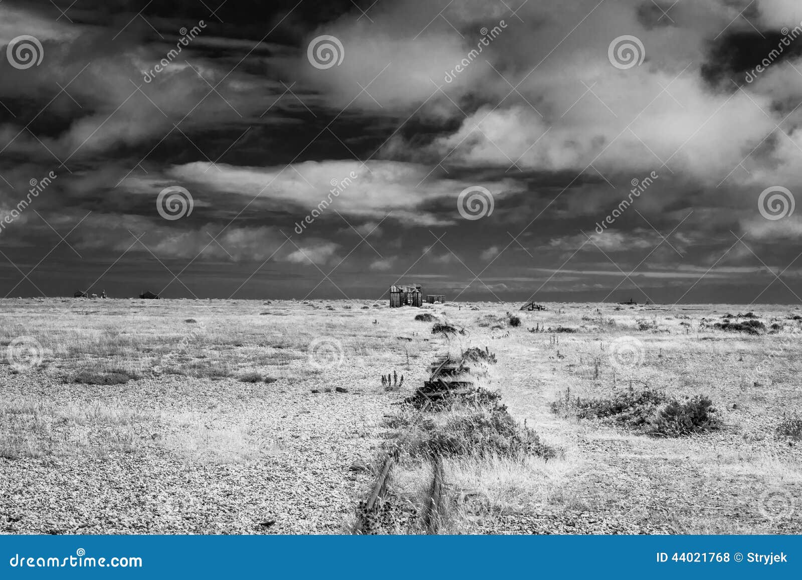 Black and White Very Wide Field Stock Photo - Image of grass, flat ...