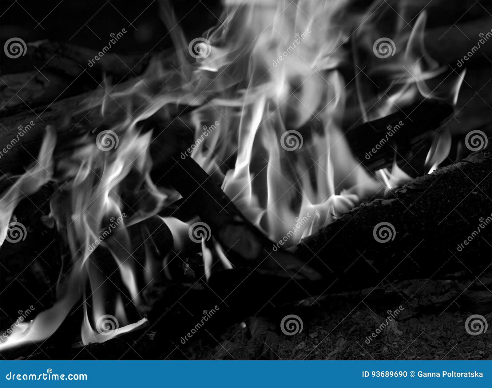 Black and White View on Campfire in Forest Stock Photo - Image of ...