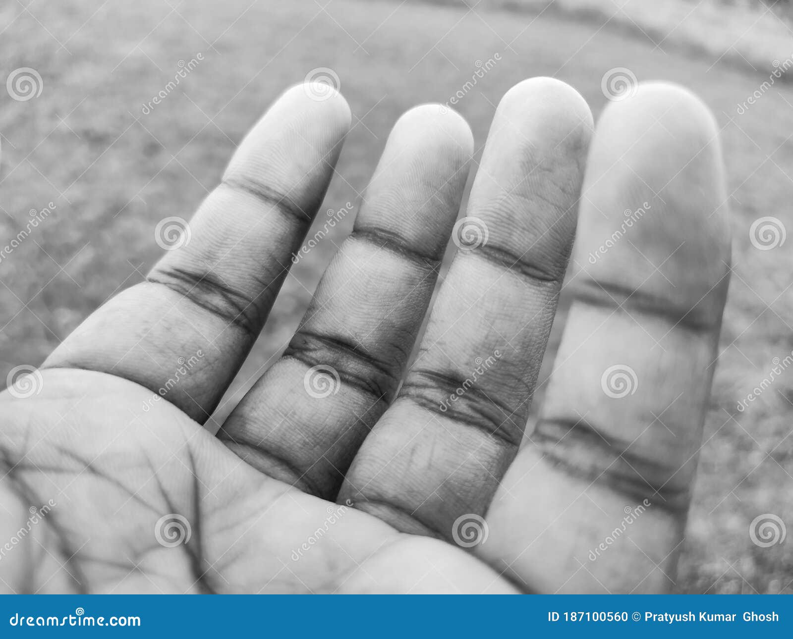 Black and White View of Hand with Texture Stock Photo - Image of adult ...