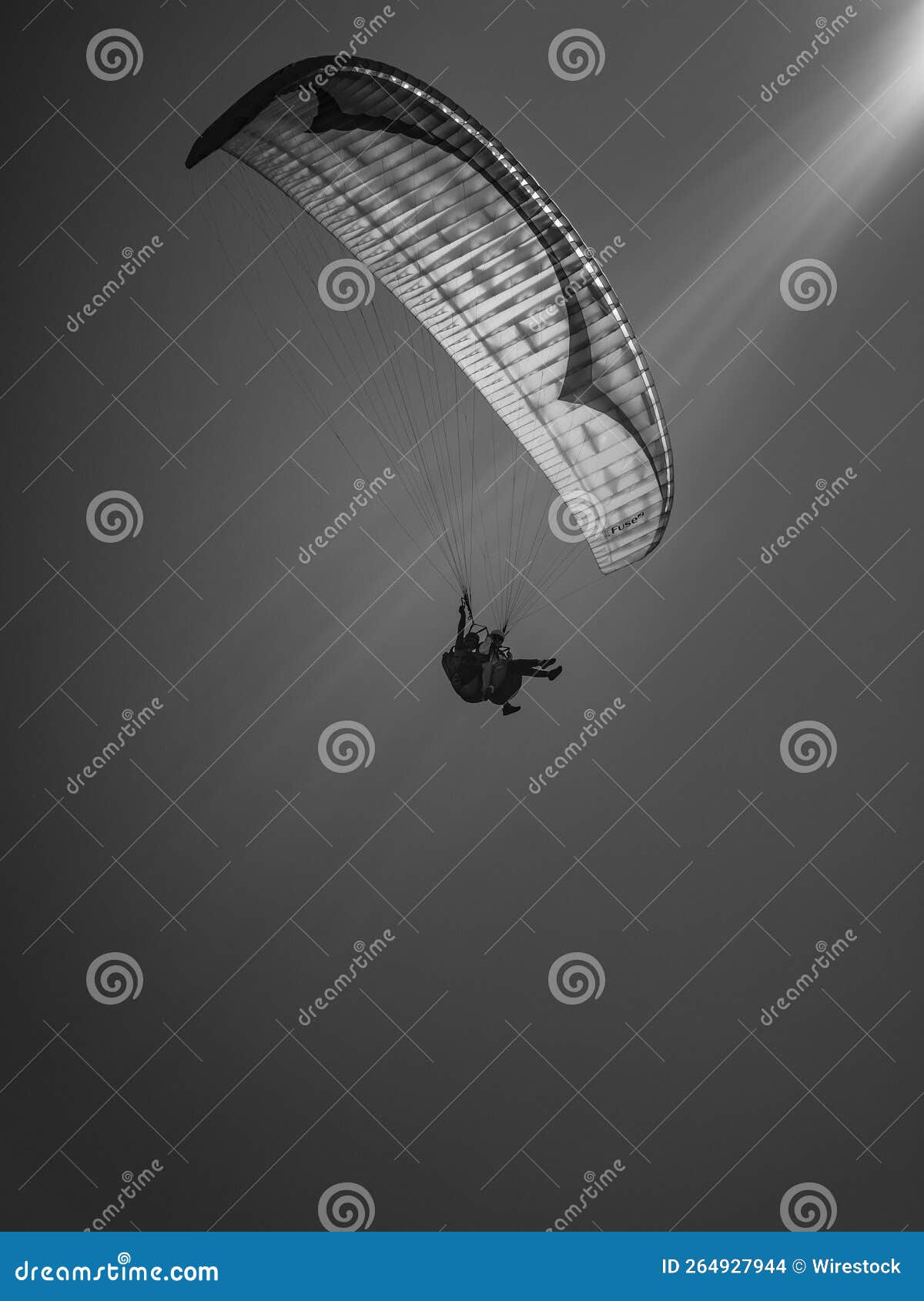 Black and White View of a Paraglider in the Air Stock Photo - Image of ...