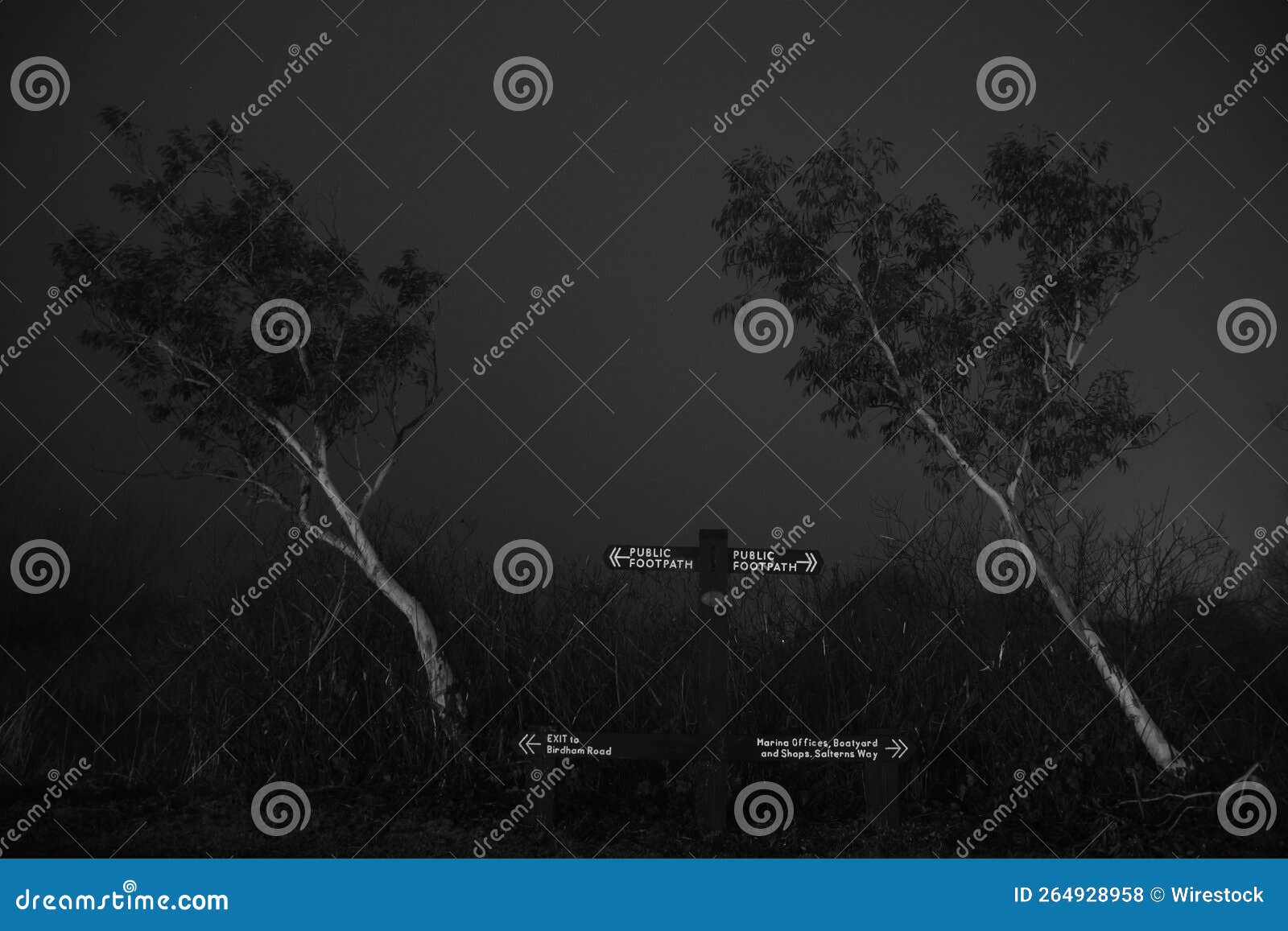Black and White View of Symbols Showing Way with Trees Around Stock ...
