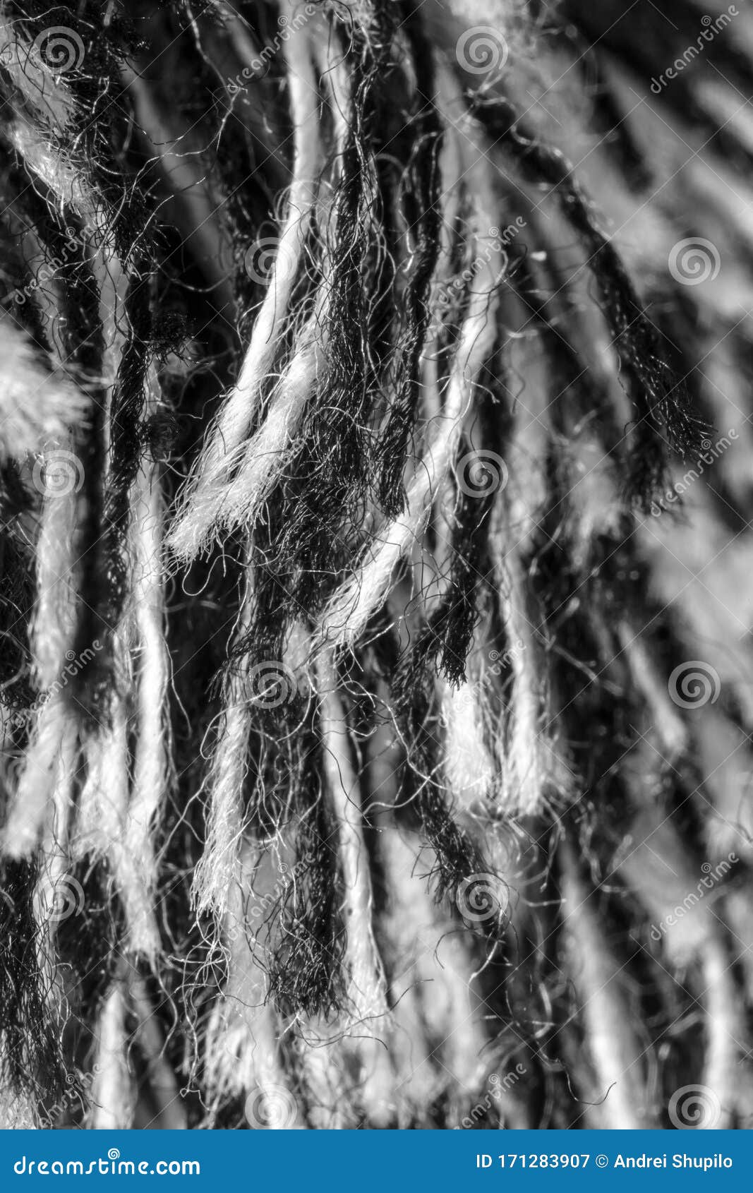 Black and White Wool Thread As Abstract Background Stock Image - Image ...