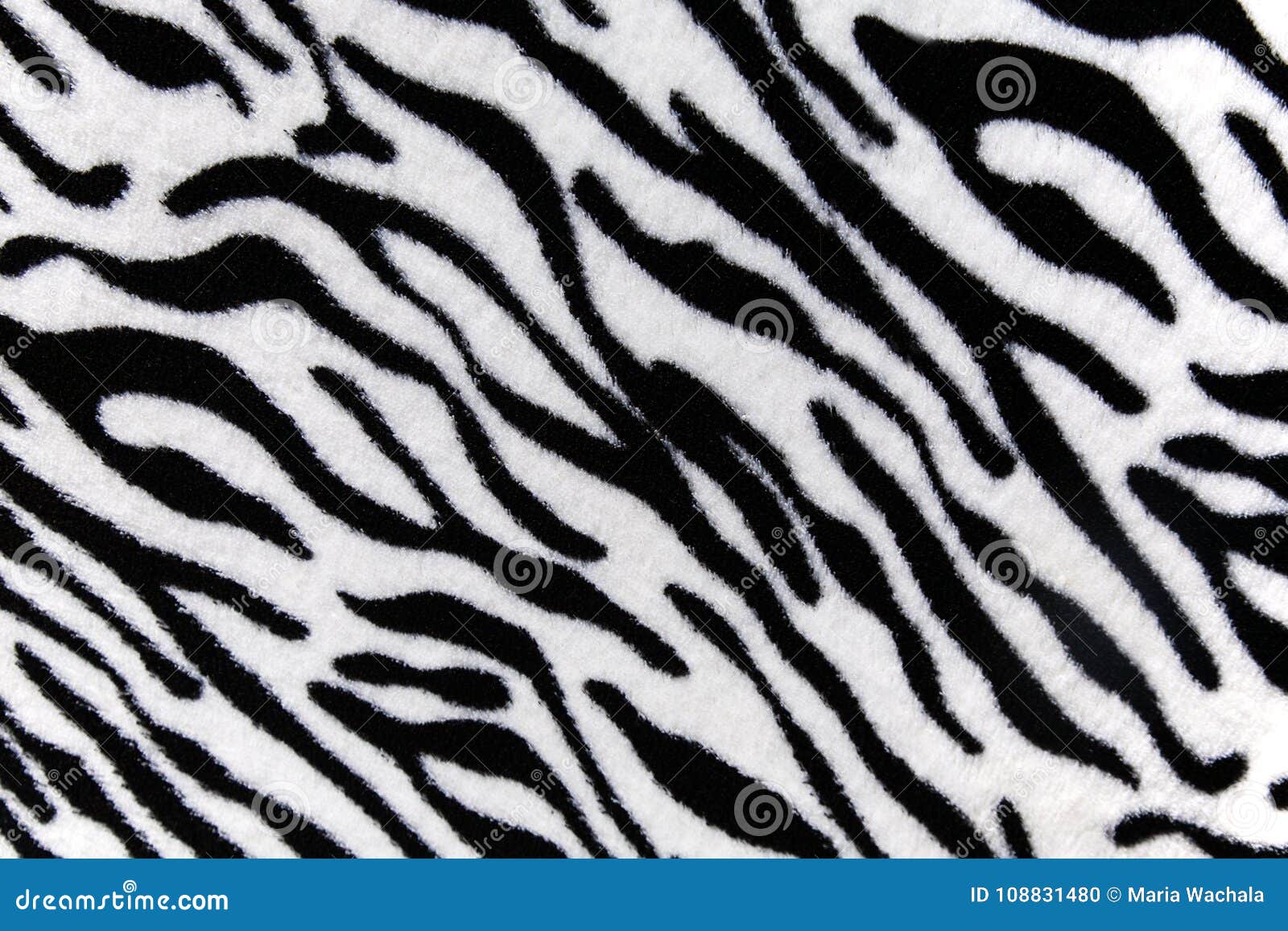 Zebra Background Texture Stock Photo | CartoonDealer.com #108831480