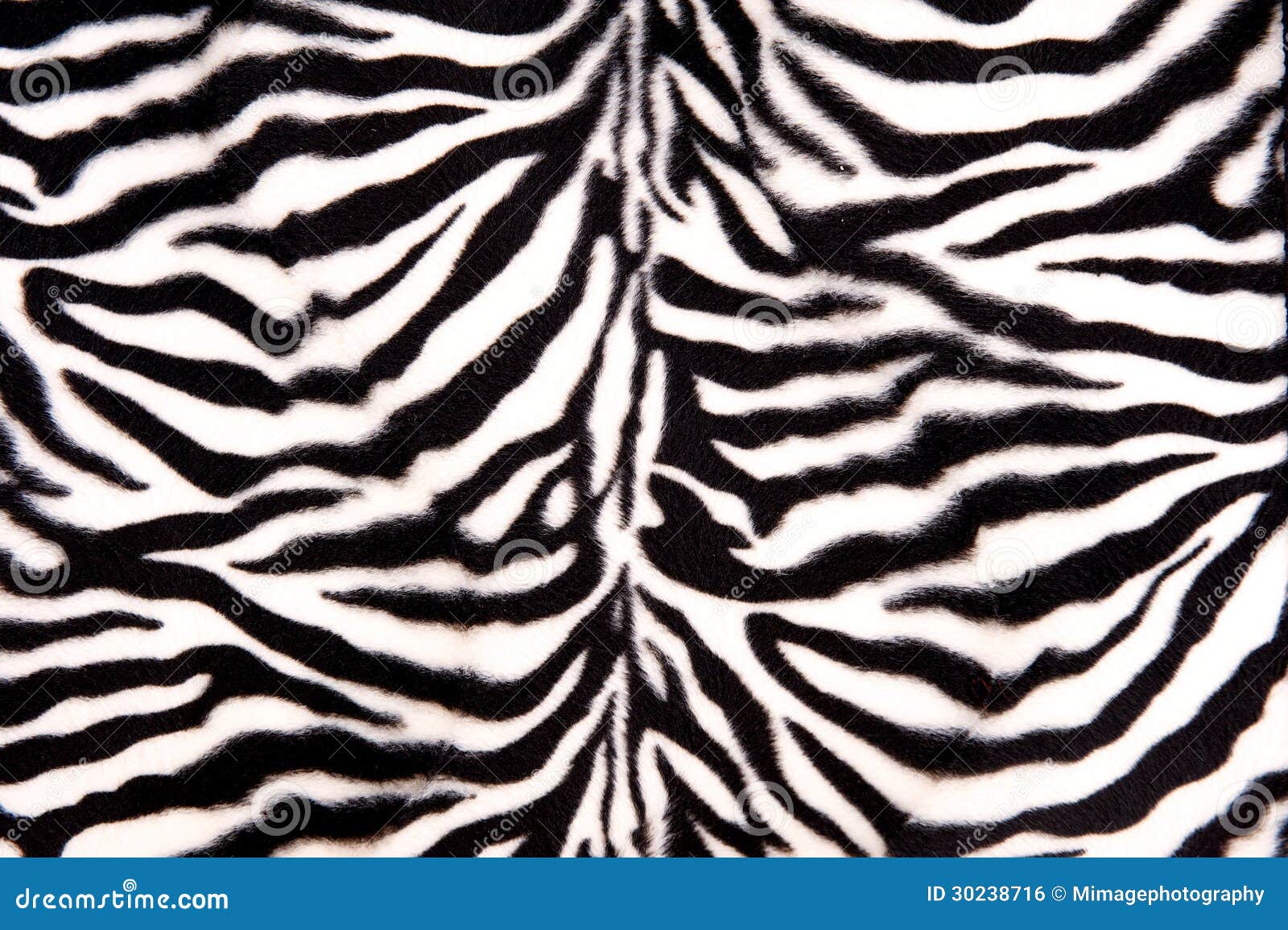 Zebra Pattern Background Royalty-Free Stock Photography | CartoonDealer ...