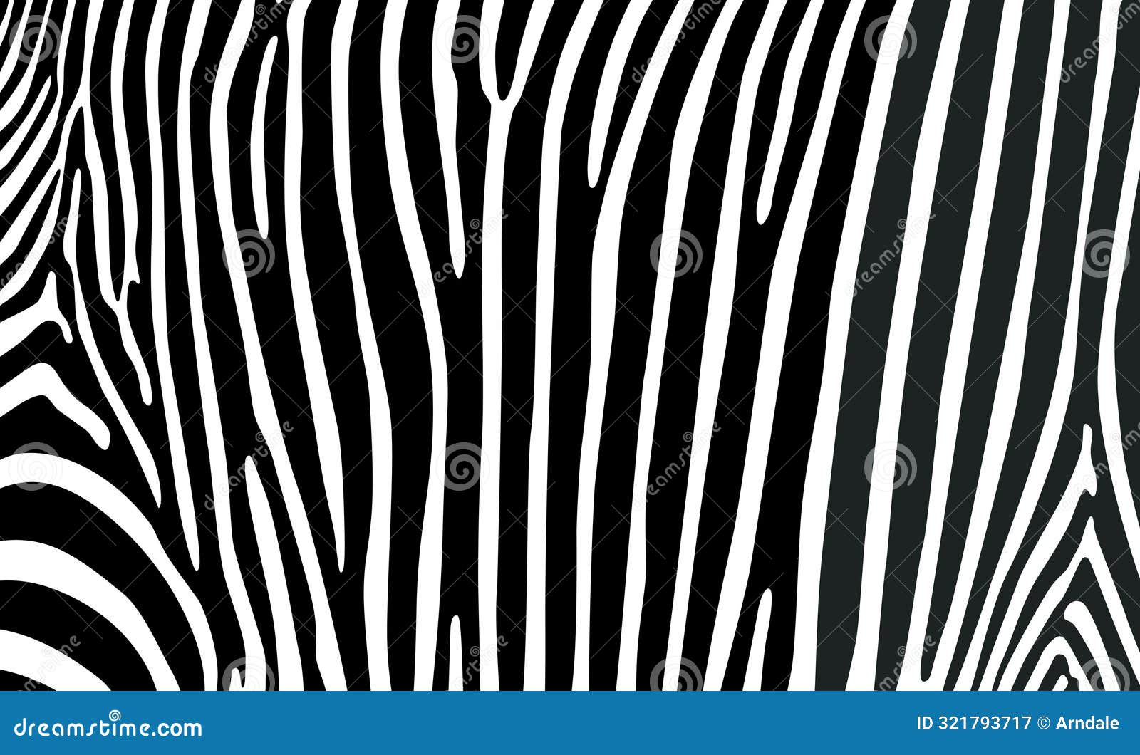 Black and White Zebra Pattern Stock Vector - Illustration of white ...