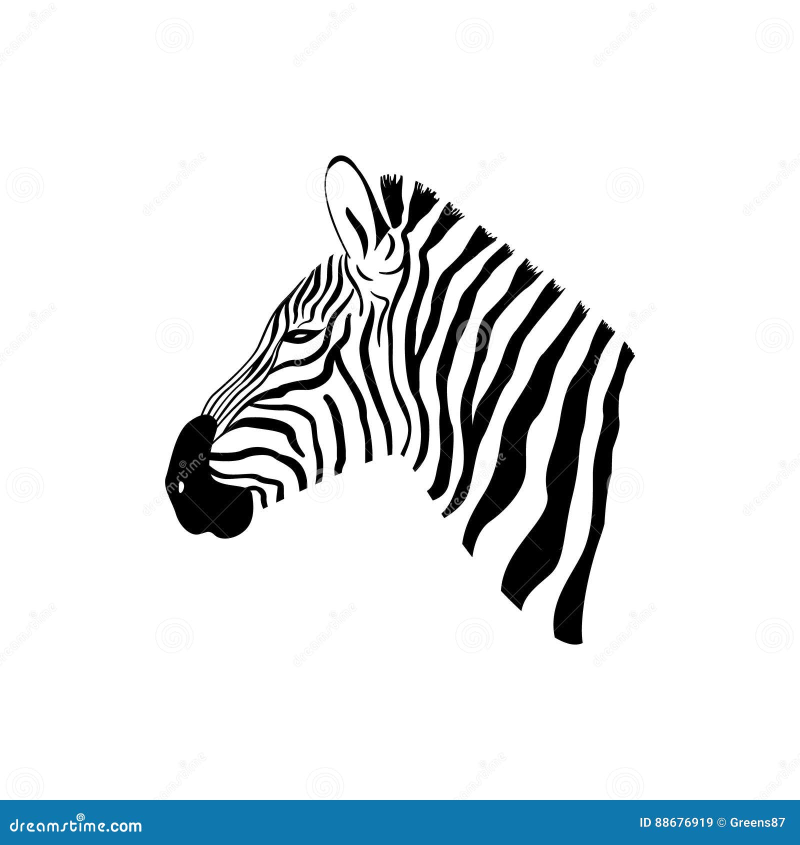 Black and White Zebra Portrait with Side View. Stock Vector ...