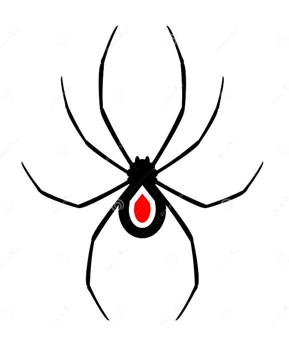 Black widow design stock vector. Illustration of design - 25622699