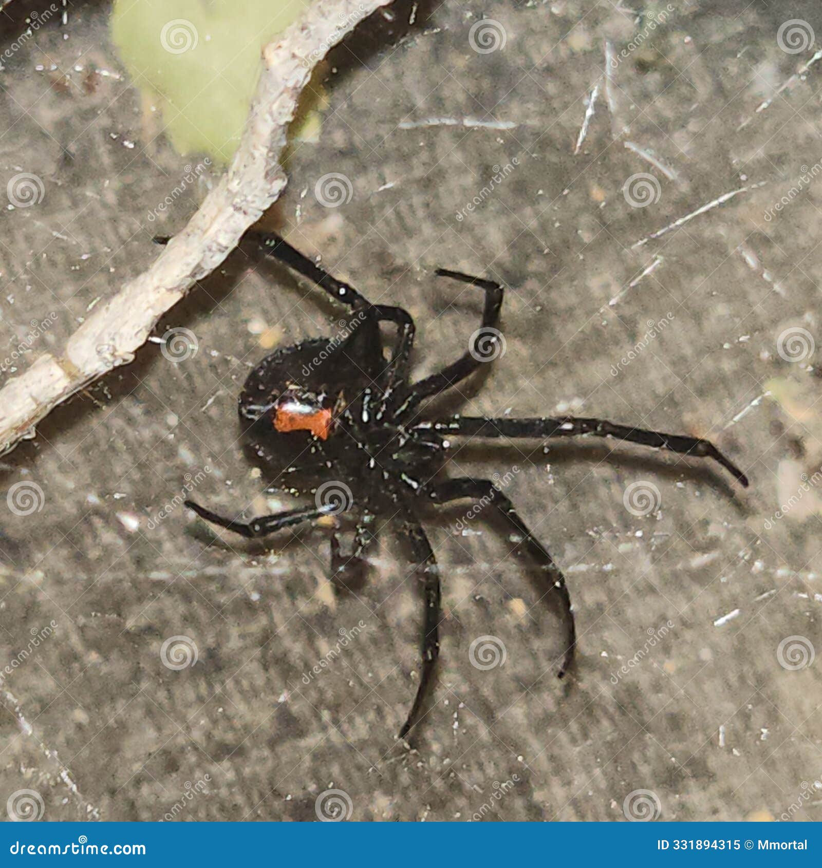 Scary Creepy Old Doll Stock Photo | CartoonDealer.com #184191750