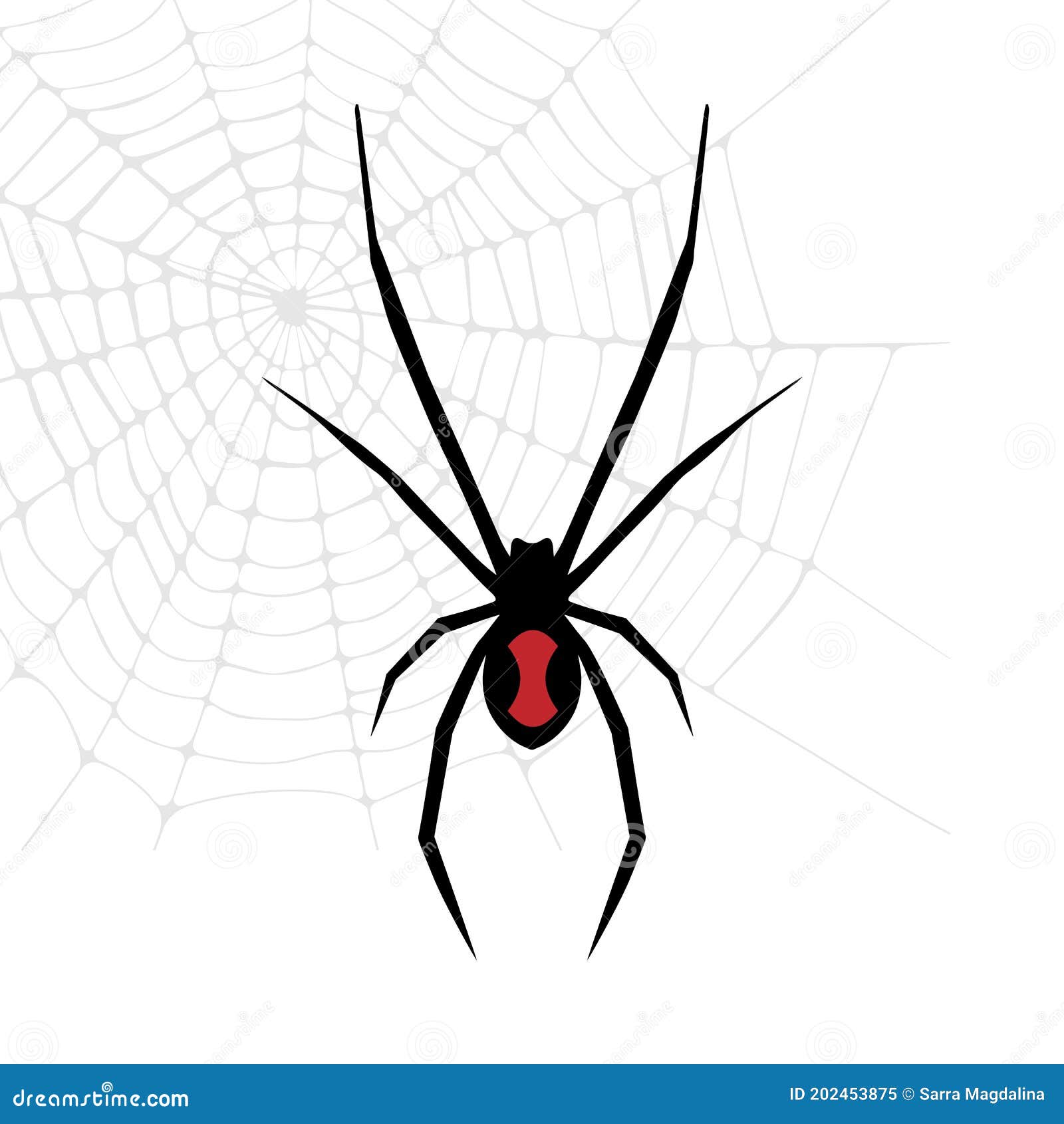 Black Widow spider stock vector. Illustration of arachnid - 202453875