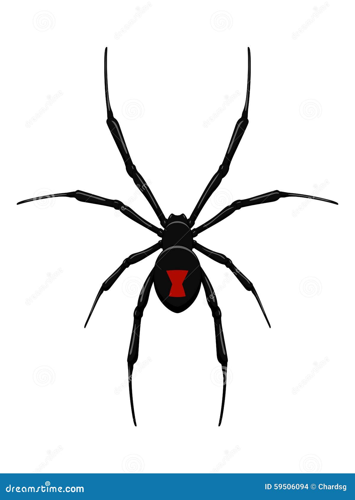 Black Widow Spider Symbol