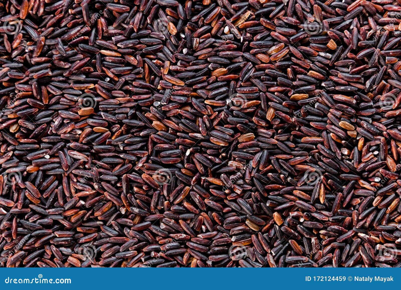 Black Wild Rice Close-up Background Texture Top View, Selective Focus ...