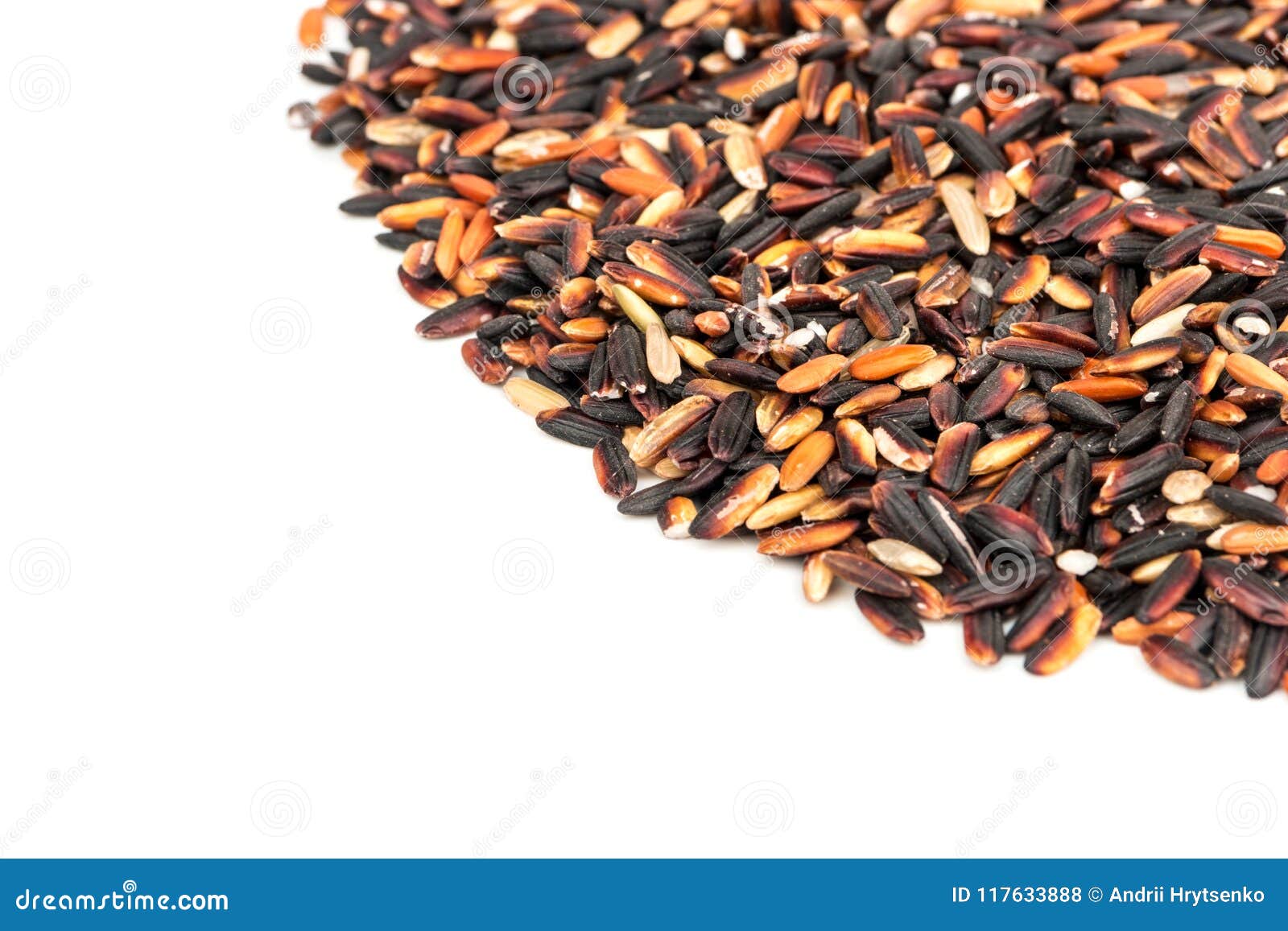 Black wild rice stock photo. Image of grained, ingredient - 117633888