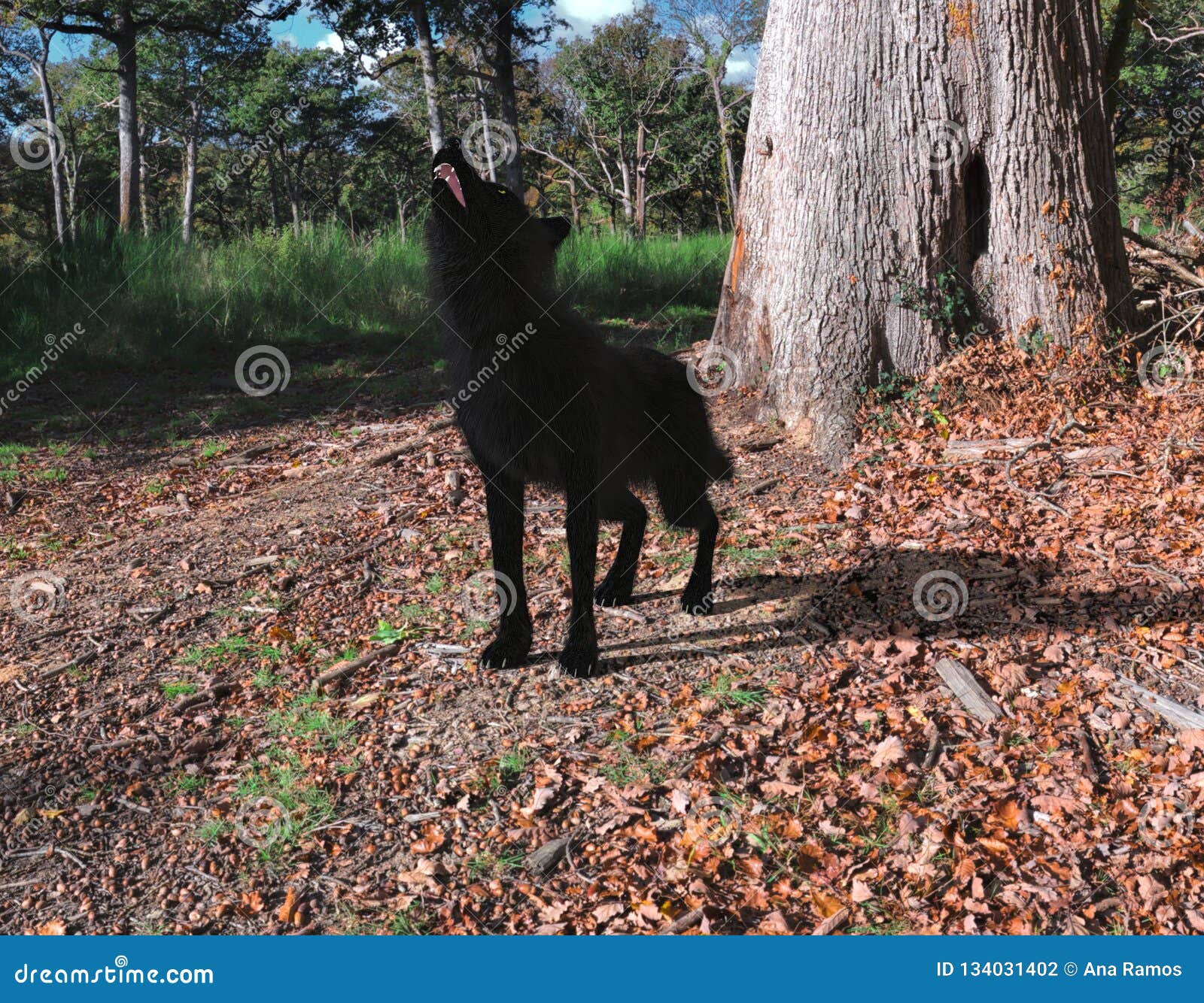 Black Wolf howling stock illustration. Illustration of black - 134031402