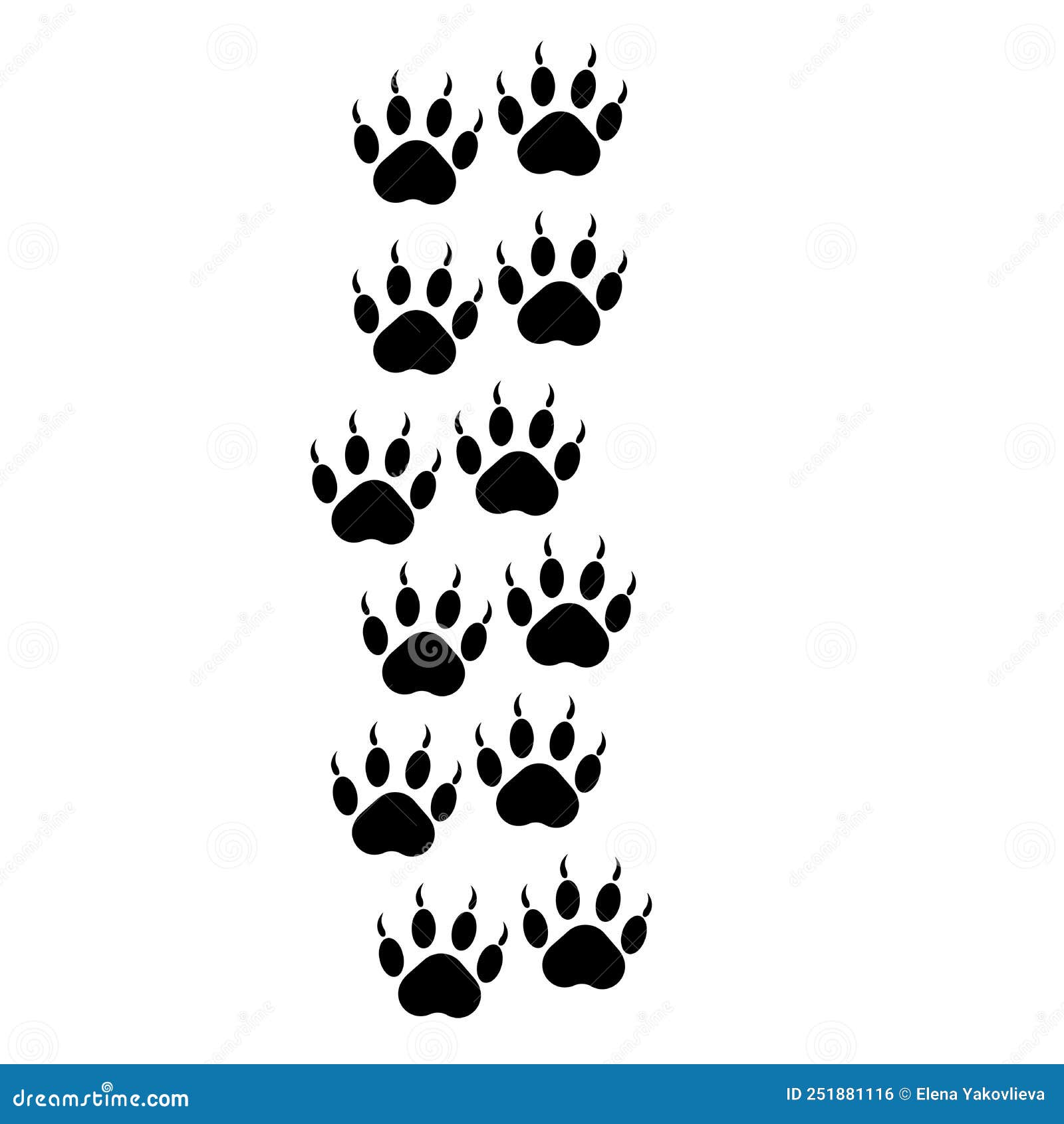 Wolf Dog Tracks Comparison Cartoon Vector | CartoonDealer.com #136987897