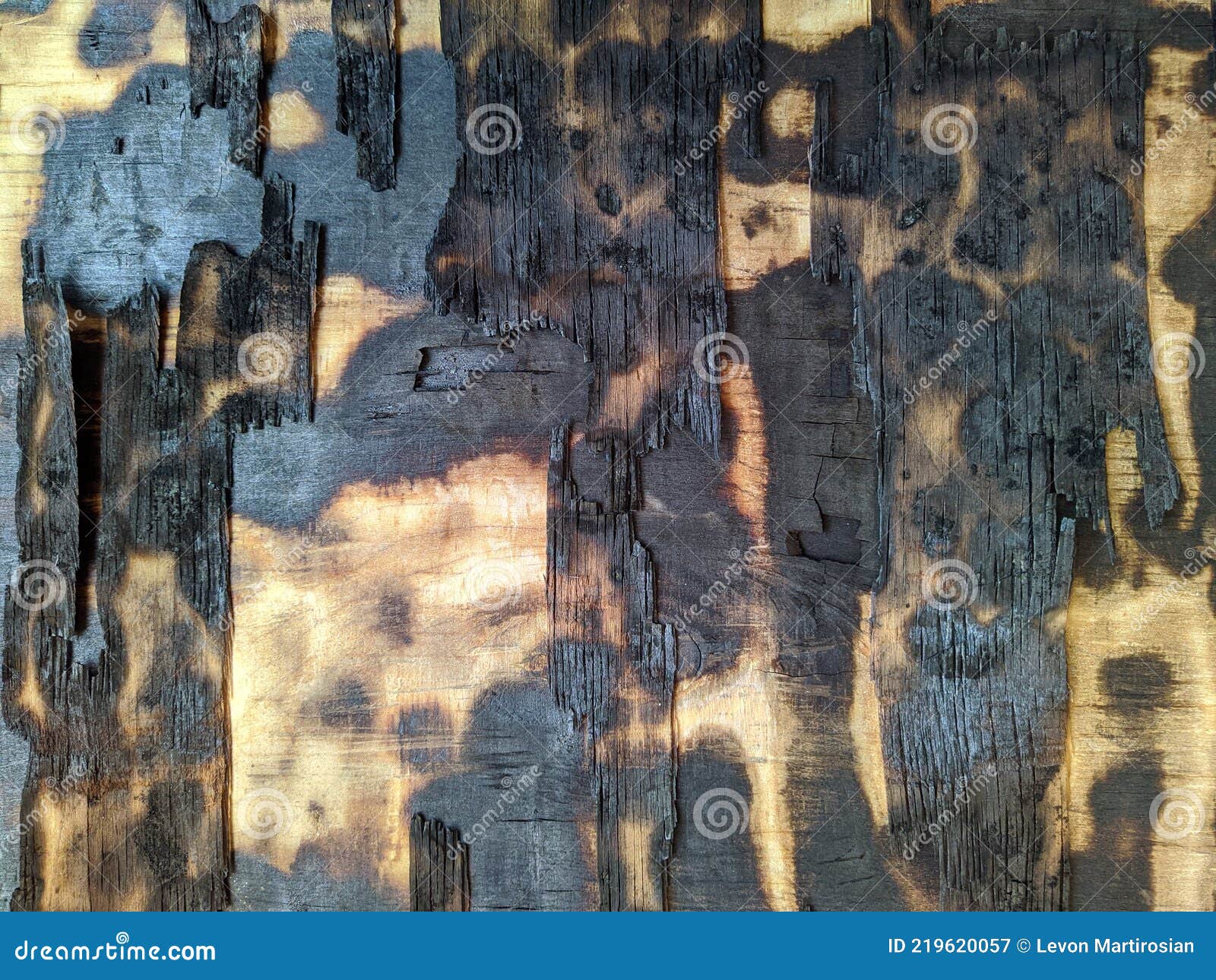 Black Wood Texture of Burnt Tree after Fire Stock Image - Image of ...