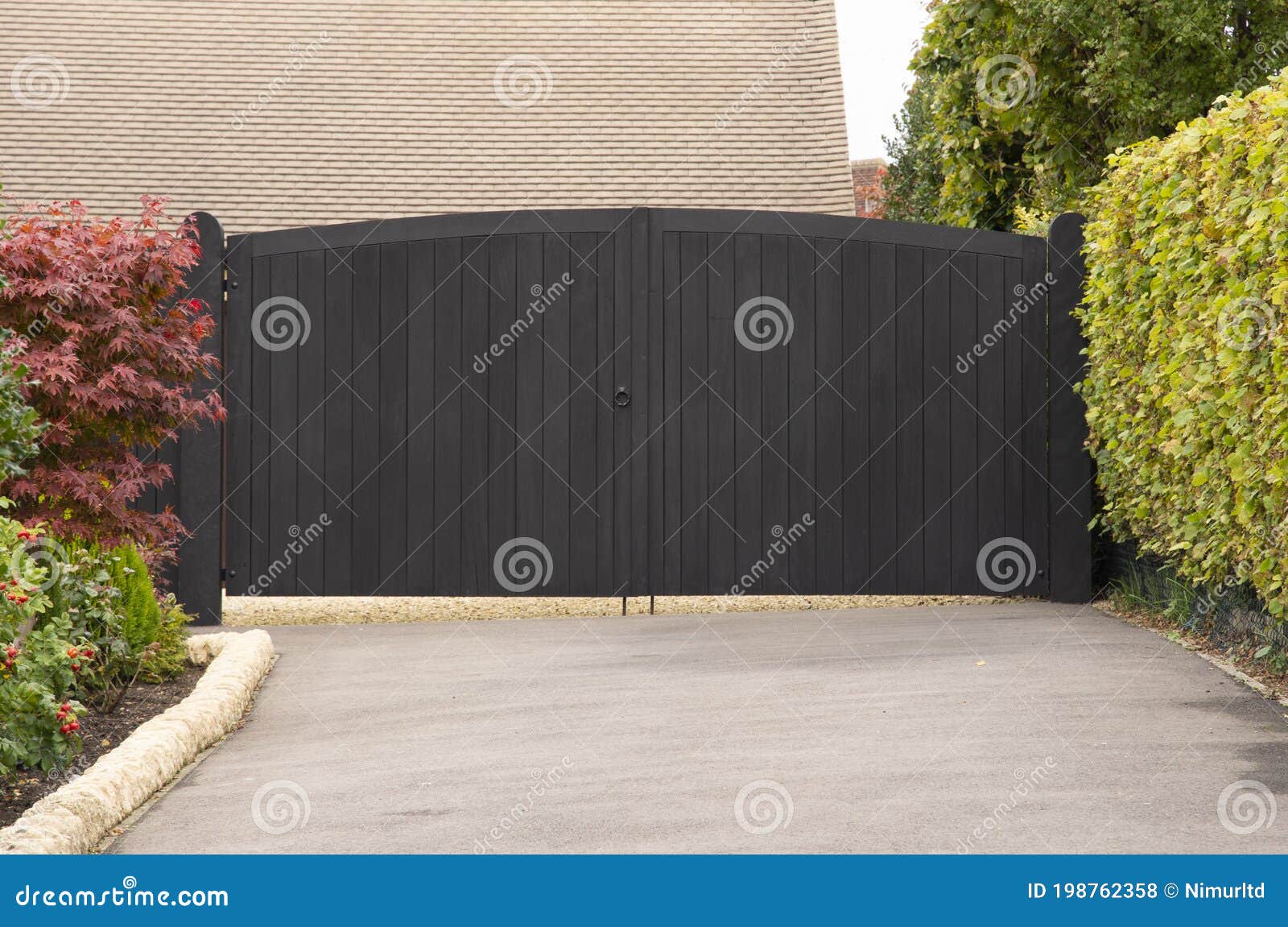 Black Wooden Gate in a Hedged Driveway Stock Photo - Image of gate ...