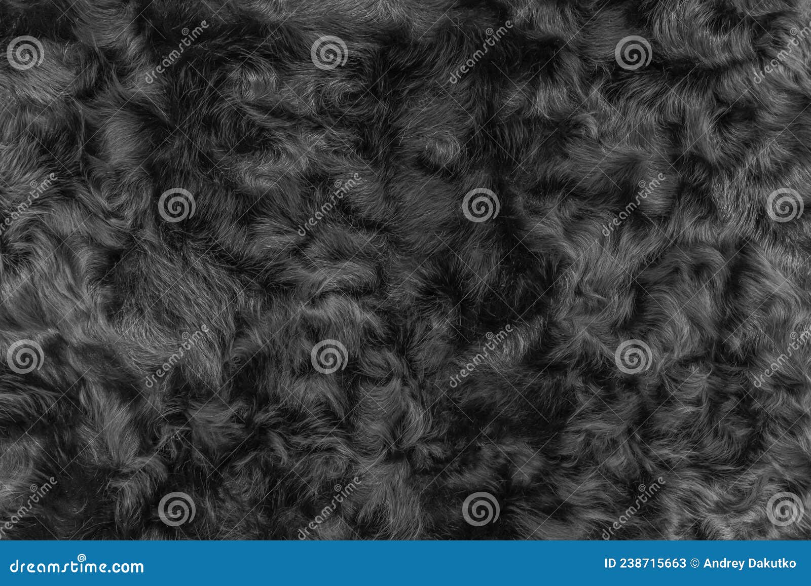 Black Wool Texture Fur Background Dark Soft Material Abstract Surface ...