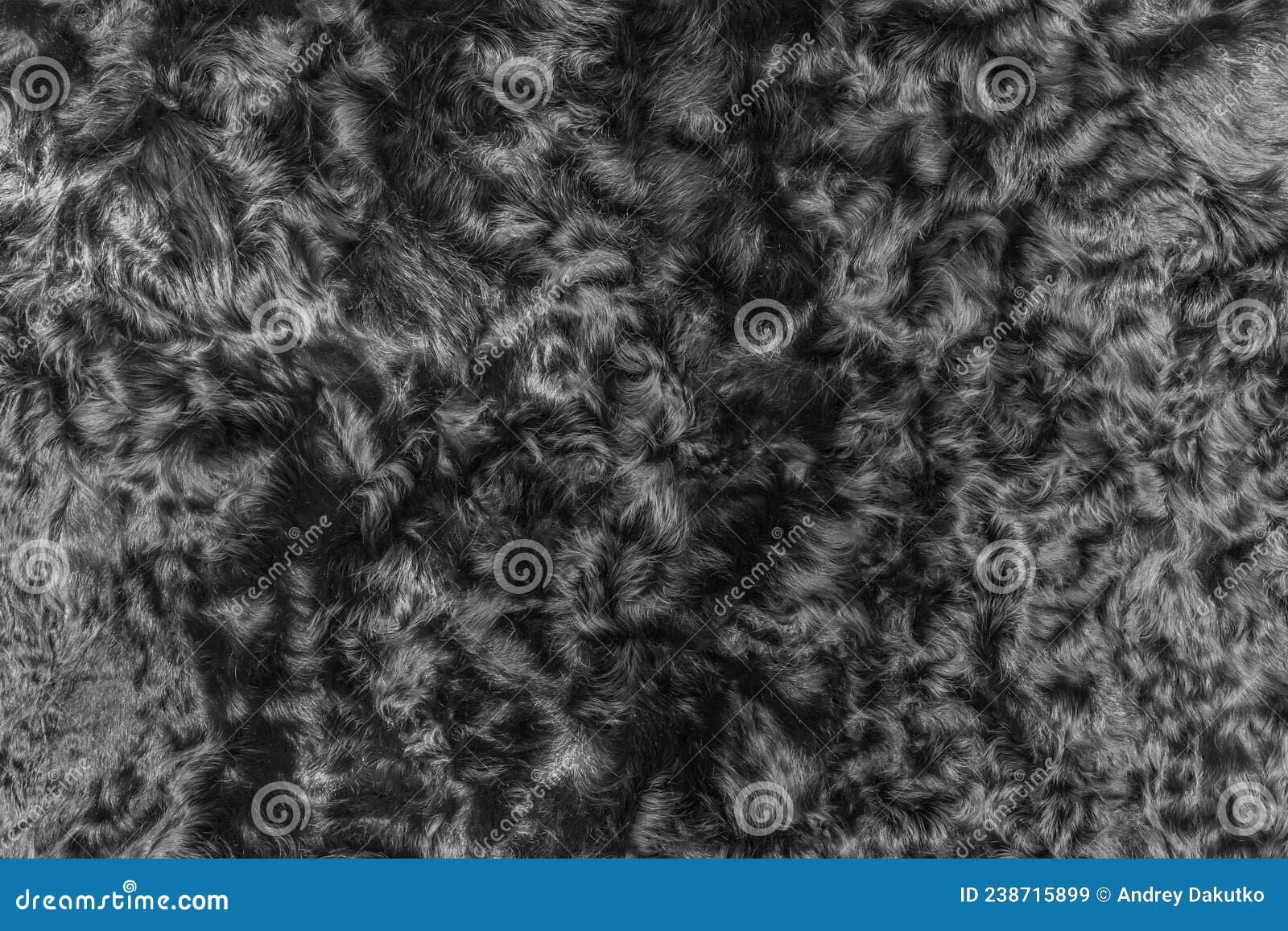 Black Wool Texture Fur Background Dark Soft Material Abstract Surface ...